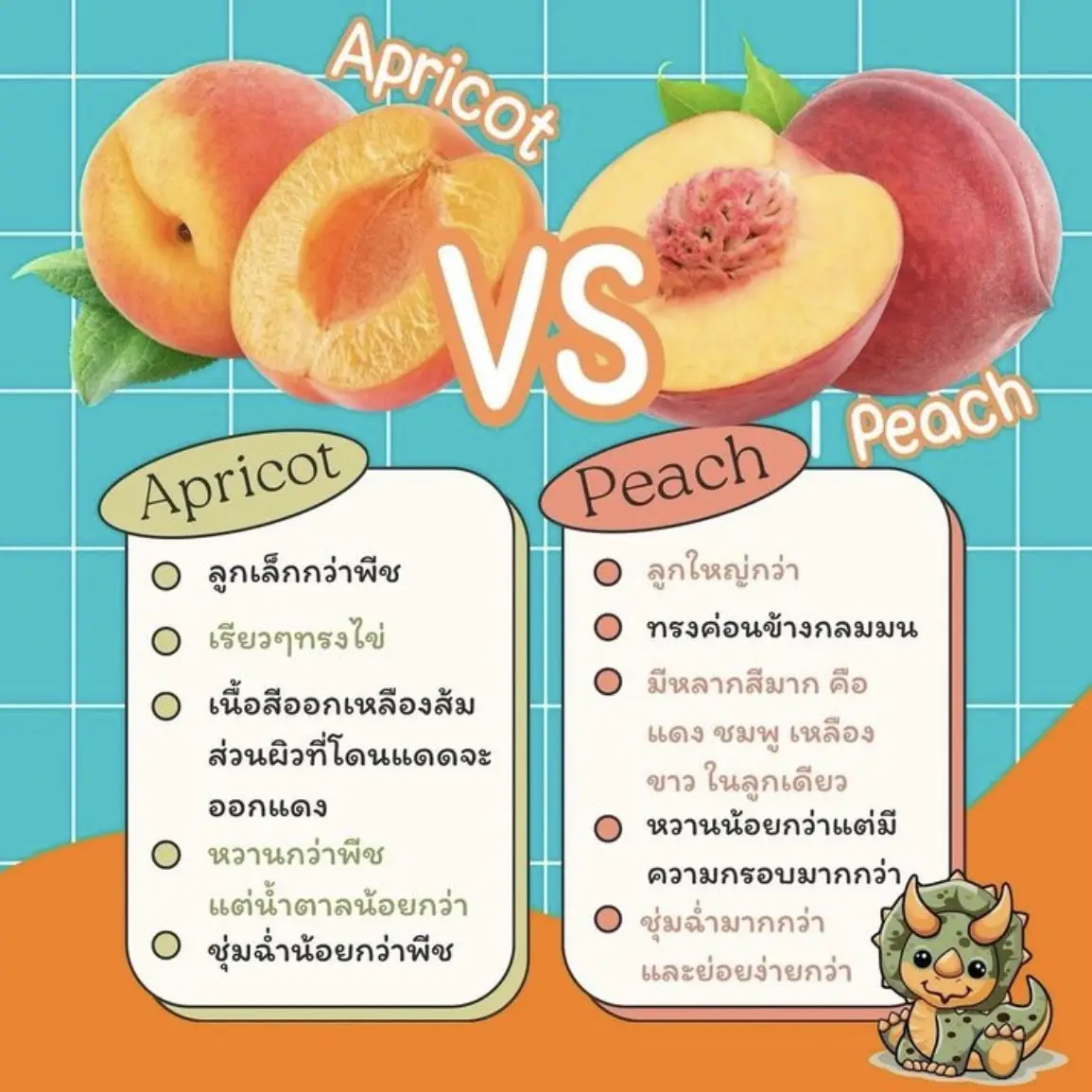 Apricot VS Peach #dinoyogurt | แกลเลอรีที่โพสต์โดย Dino yogurt | Lemon8