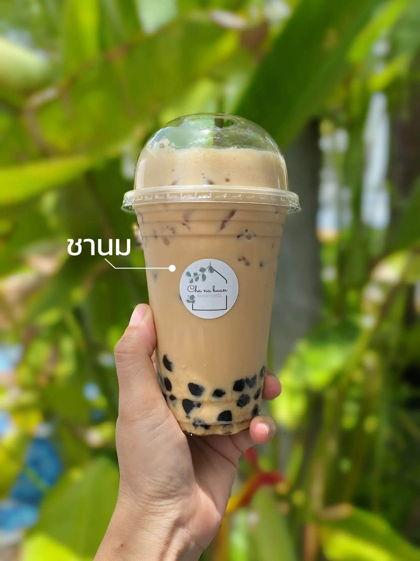 ชาเขียวมะพร้าวนมสดปั่น | แกลเลอรีที่โพสต์โดย Chanthima Kongb | Lemon8