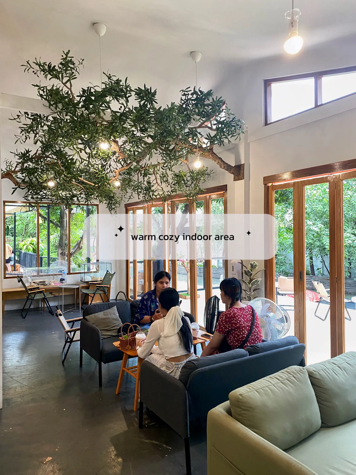 capybara cafe in bangkok?! - bkk | Gallery posted by nat | Lemon8