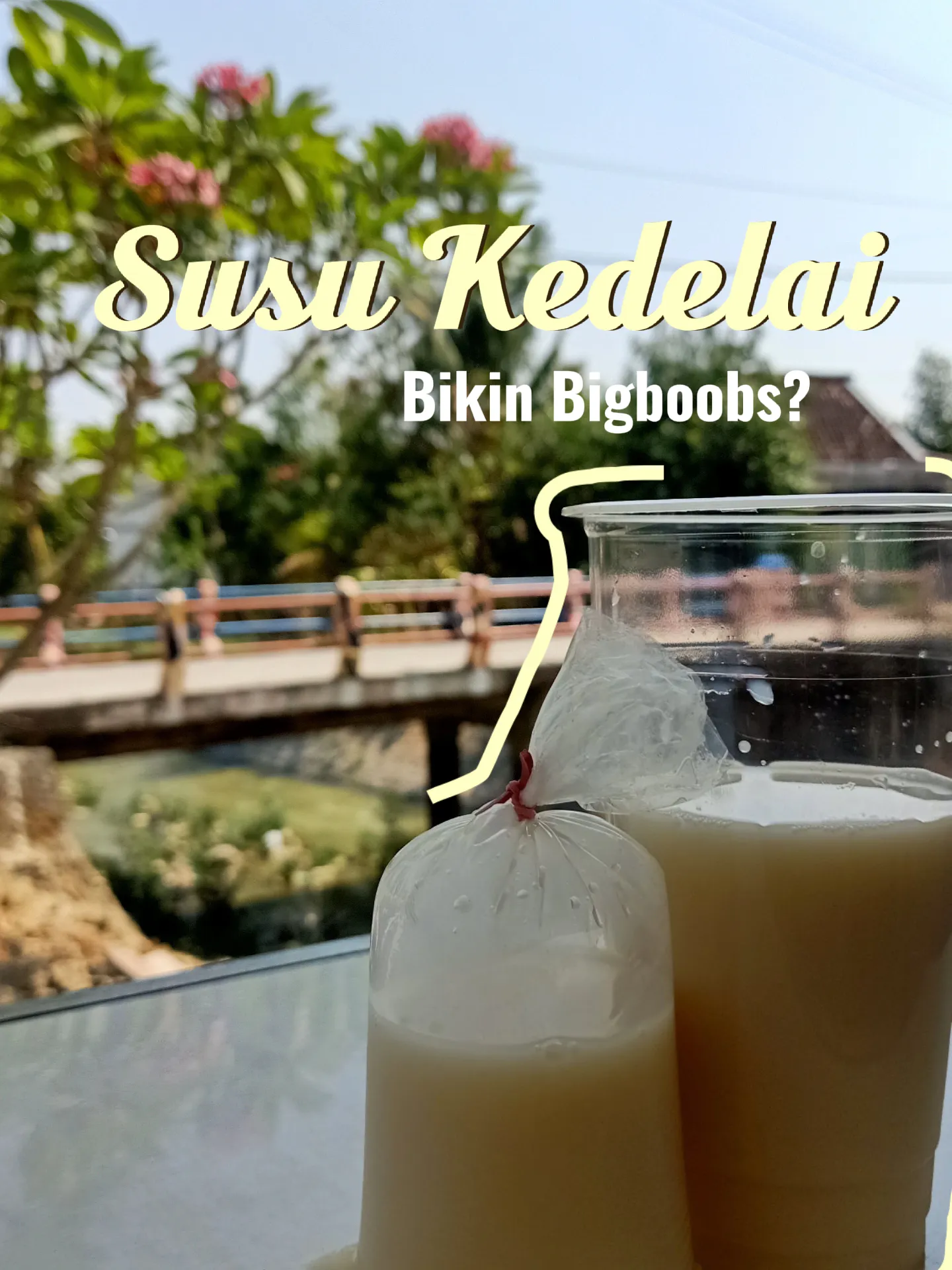Susu Kedelai bikin BigBo*bs??? | Galeri diposting oleh Julia Triastuti | Lemon8