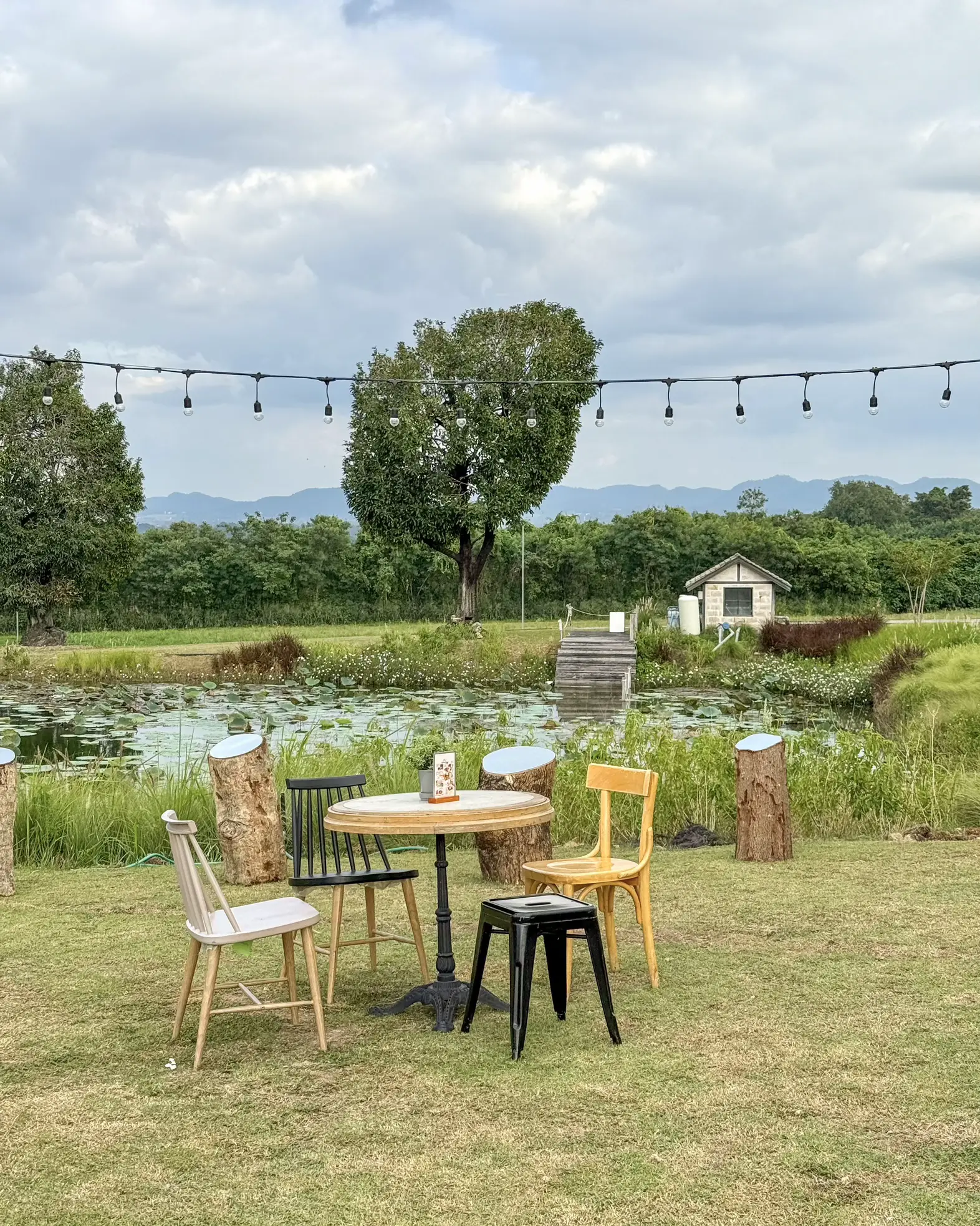 #AfterYou Dairy Farm กลับมาเปิดแล้ว 🛖🐮🌾 | แกลเลอรีที่โพสต์โดย On the ...