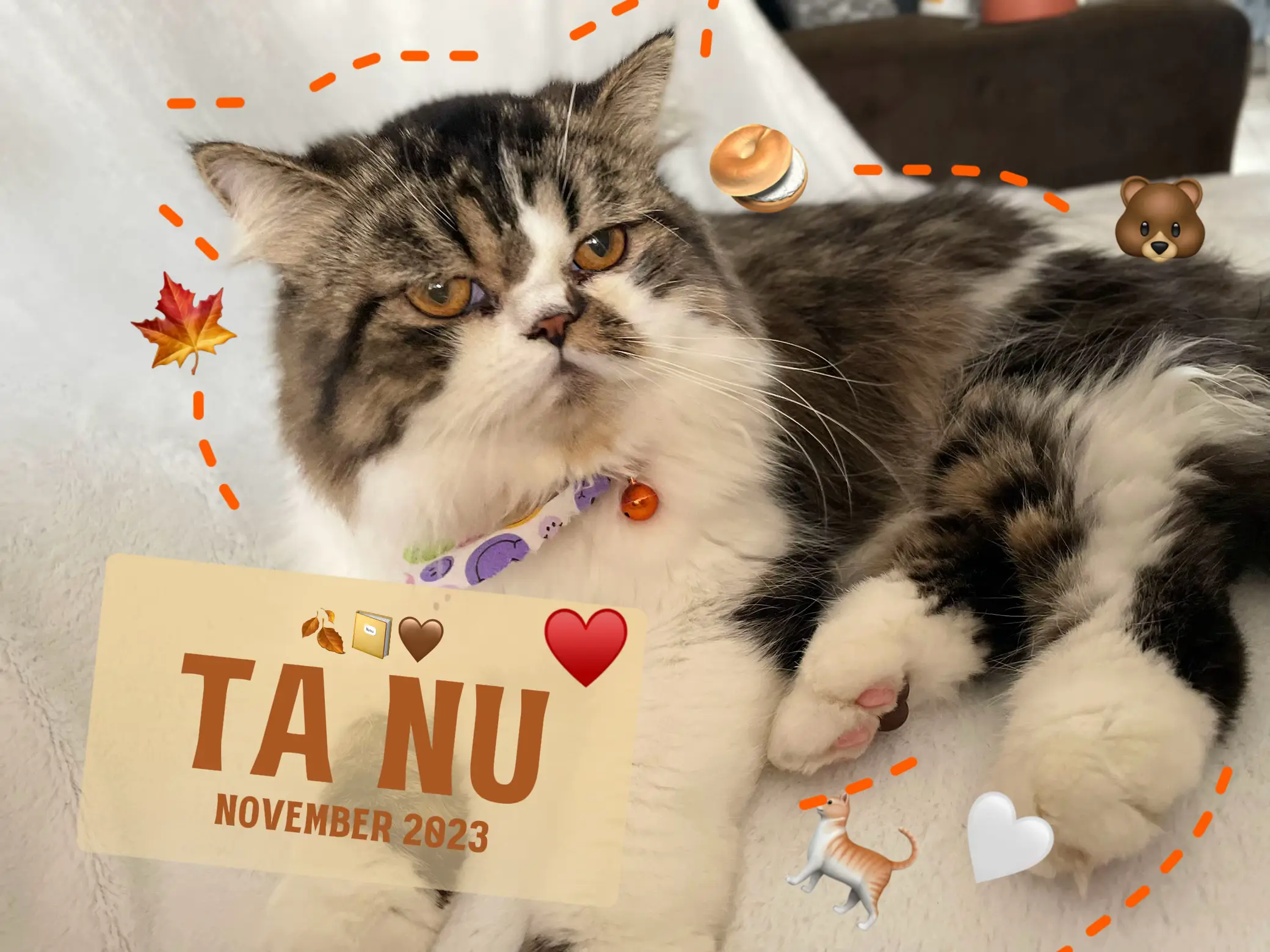 November 21,2023 | แกลเลอรีที่โพสต์โดย Srw Ohm Sarawot | Lemon8