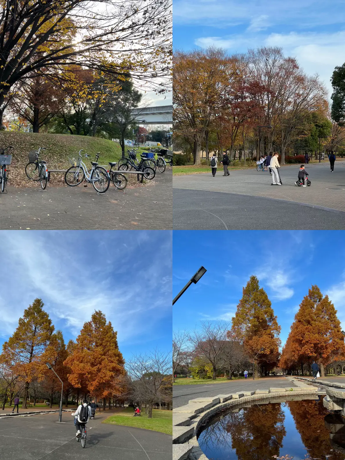 กิจกรรมสายชิลปิคนิคสวนในญี่ปุ่น | Tonari park in Japan 🍂🍁🎌 | แกลเลอรีที่โพสต์โดย Tiwa | Lemon8