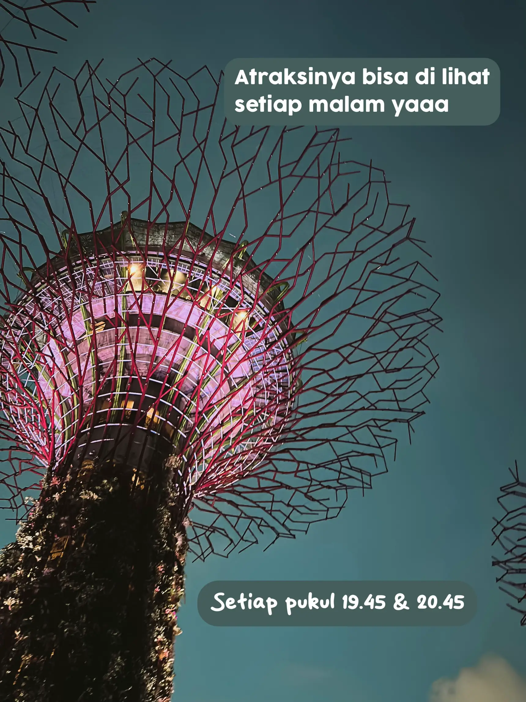 Garden Bay The Bay Singapore | Galeri diposting oleh corypramita | Lemon8
