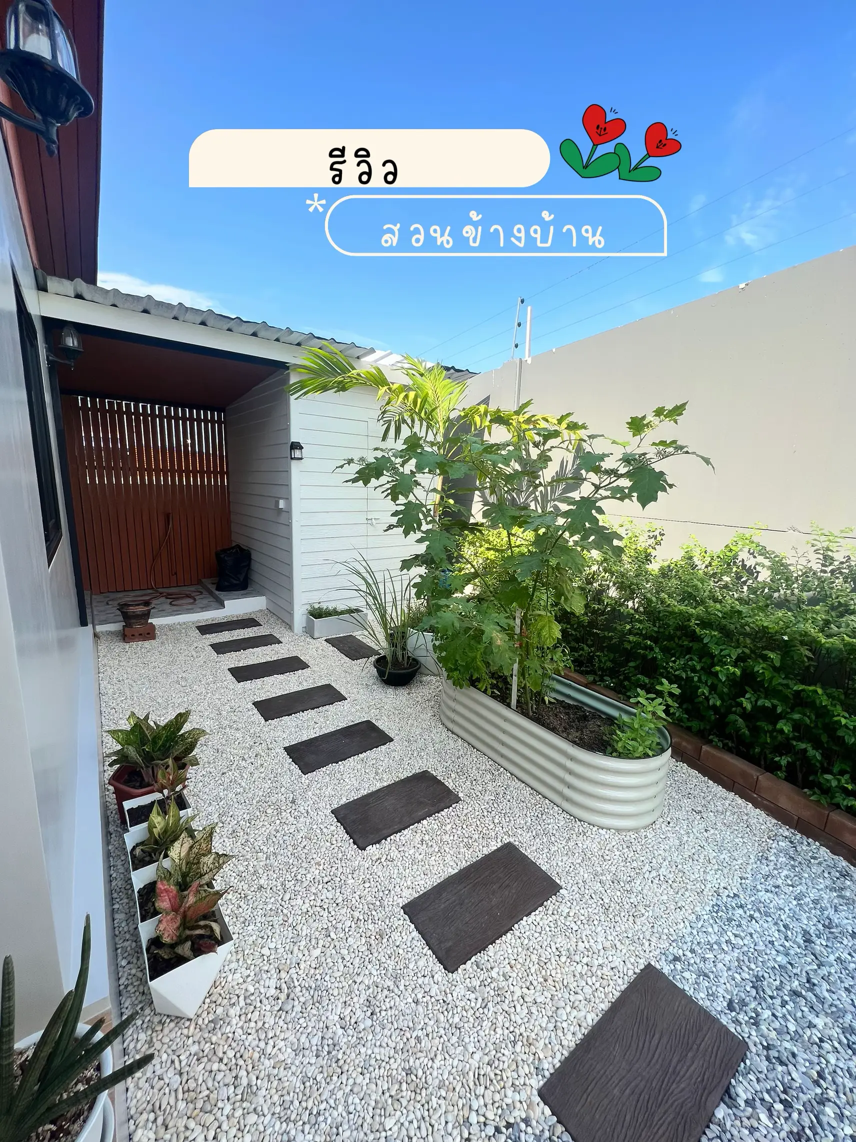 รีวิว สวนข้างบ้าน 🥦🪴🍂 | แกลเลอรีที่โพสต์โดย Pla._.Boo | Lemon8