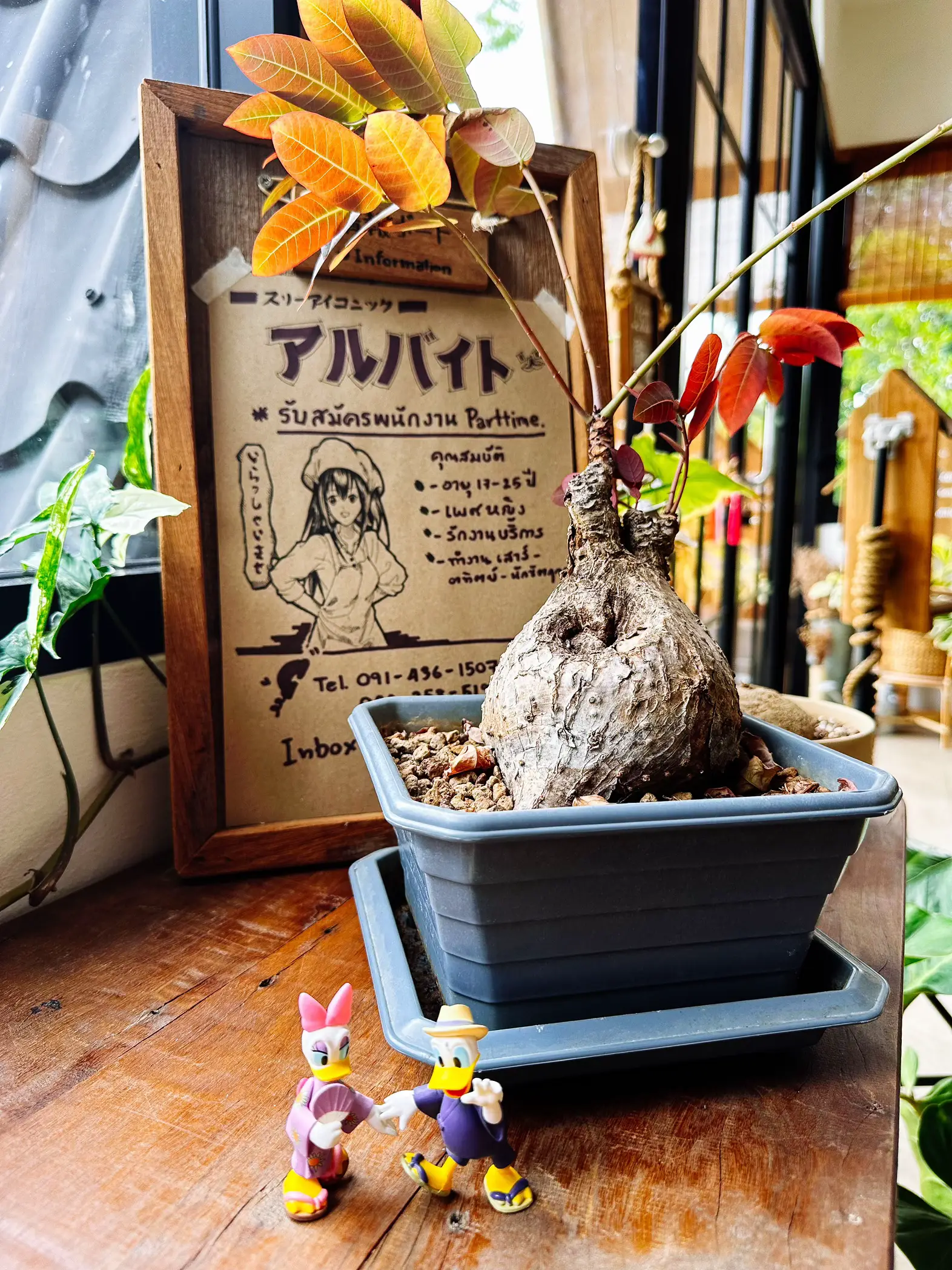 Three Iconic | แกลเลอรีที่โพสต์โดย What's in bag | Lemon8