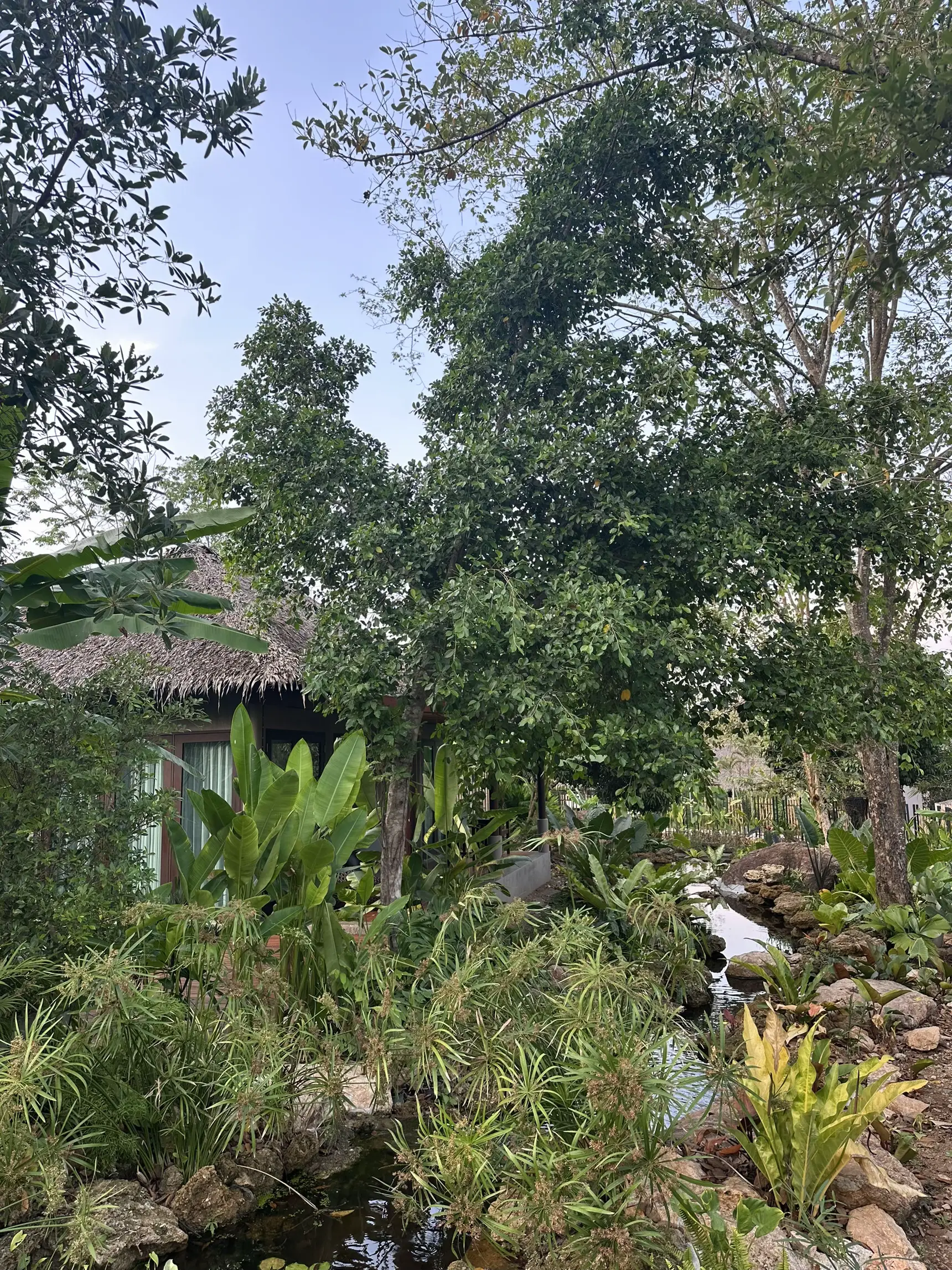 Phapok Eco Resort🍃 ไปพักใจที่สวนผึ้ง ราชบุรี | แกลเลอรีที่โพสต์โดย ...