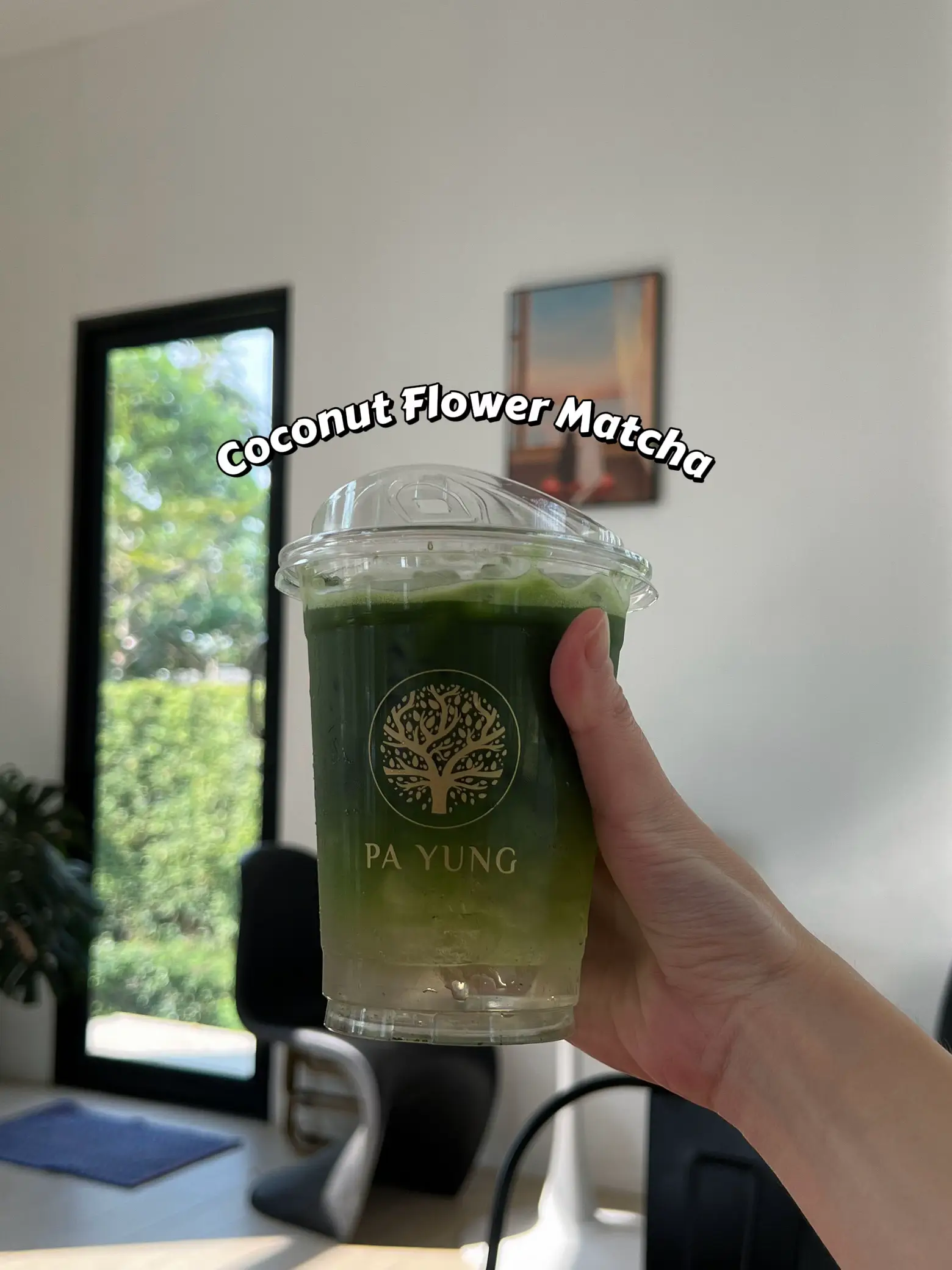 Pa-Yung cafe 🍃 คาเฟ่ย่านปทุมธานีที่ไม่ควรพลาดด | แกลเลอรีที่โพสต์โดย ...