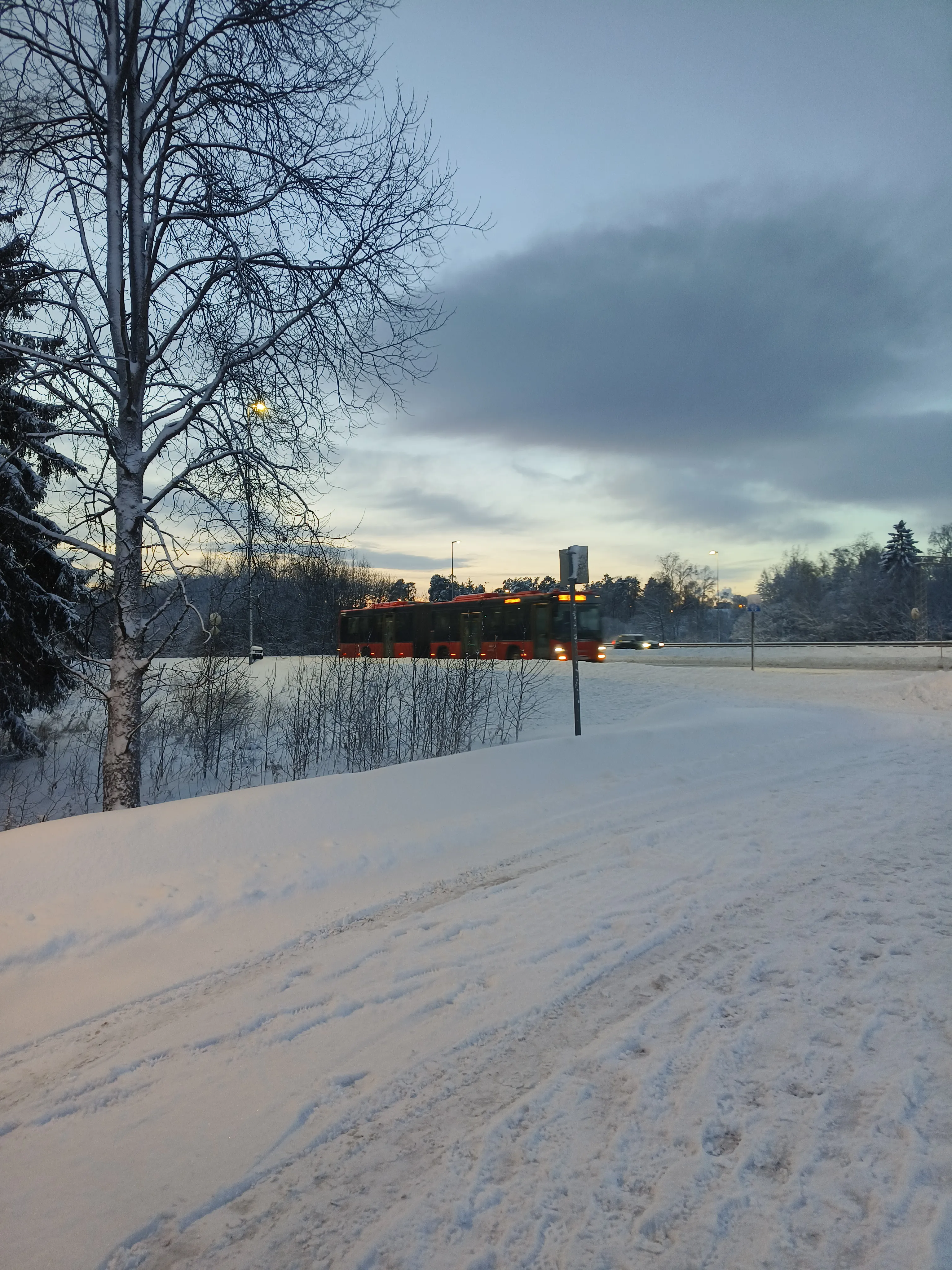 เดินเหงาๆในนอร์เวย์ สวยจริงอะไรจริงค่ะ | แกลเลอรีที่โพสต์โดย riya | Lemon8