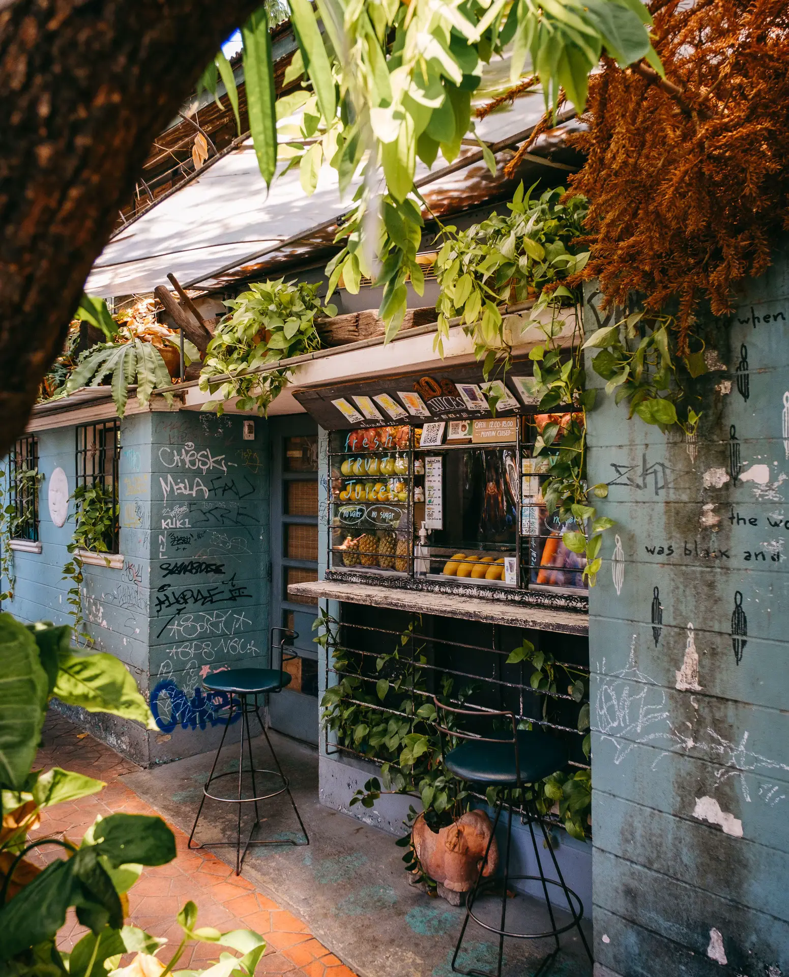 108 Juice Bar 🥭🍊🍉🍎🍌 ร้านน้ำผลไม้สดเจ้าดังถนนพระอาทิตย์ | แกลเลอรีที่ ...