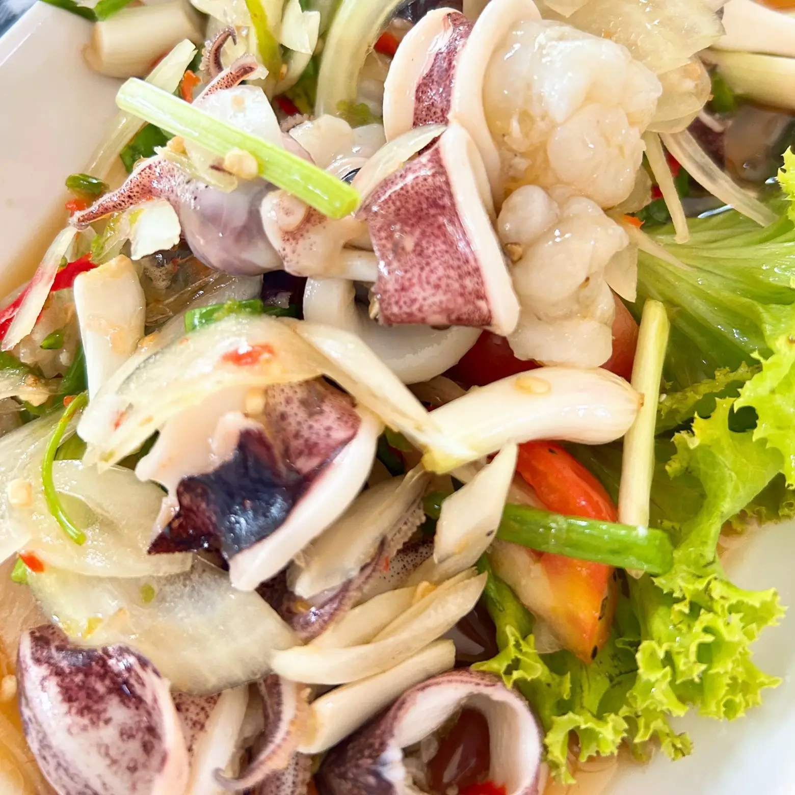 @suratthani 🦑🐙🦀🦐 | แกลเลอรีที่โพสต์โดย TAR'r 🪐 | Lemon8