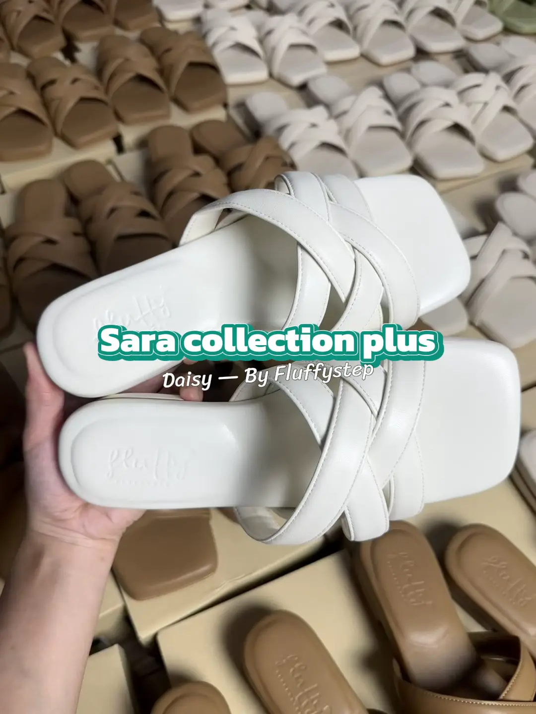 Daisy — Sara collection plus | วิดีโอที่เผยแพร่โดย Fluffystep | Lemon8