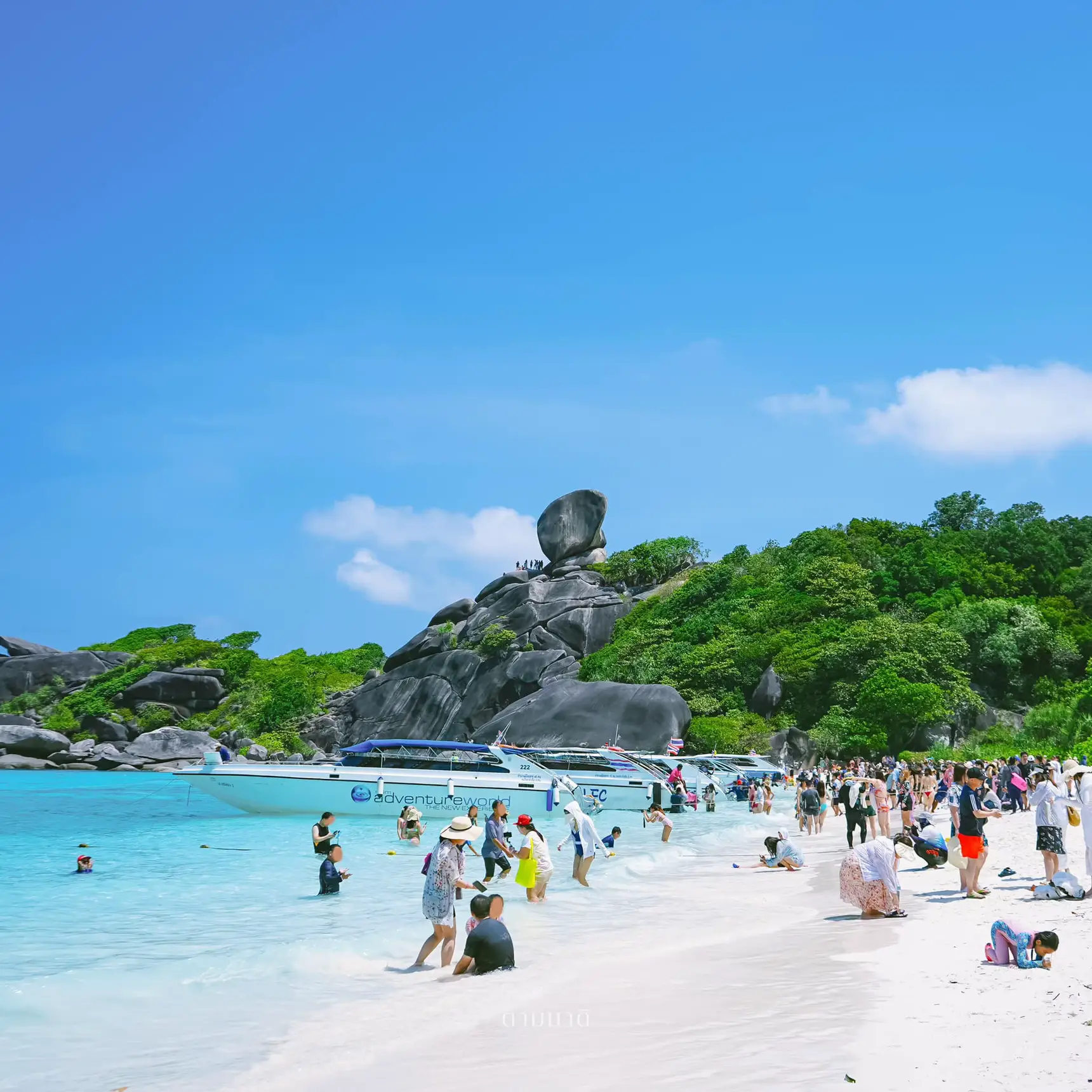 เที่ยว #เกาะสิมิลัน สุดฟินกับ Fantastic Similan Travel 🌴 | แกลเลอรีที่โพสต์โดย Tammadii | Lemon8
