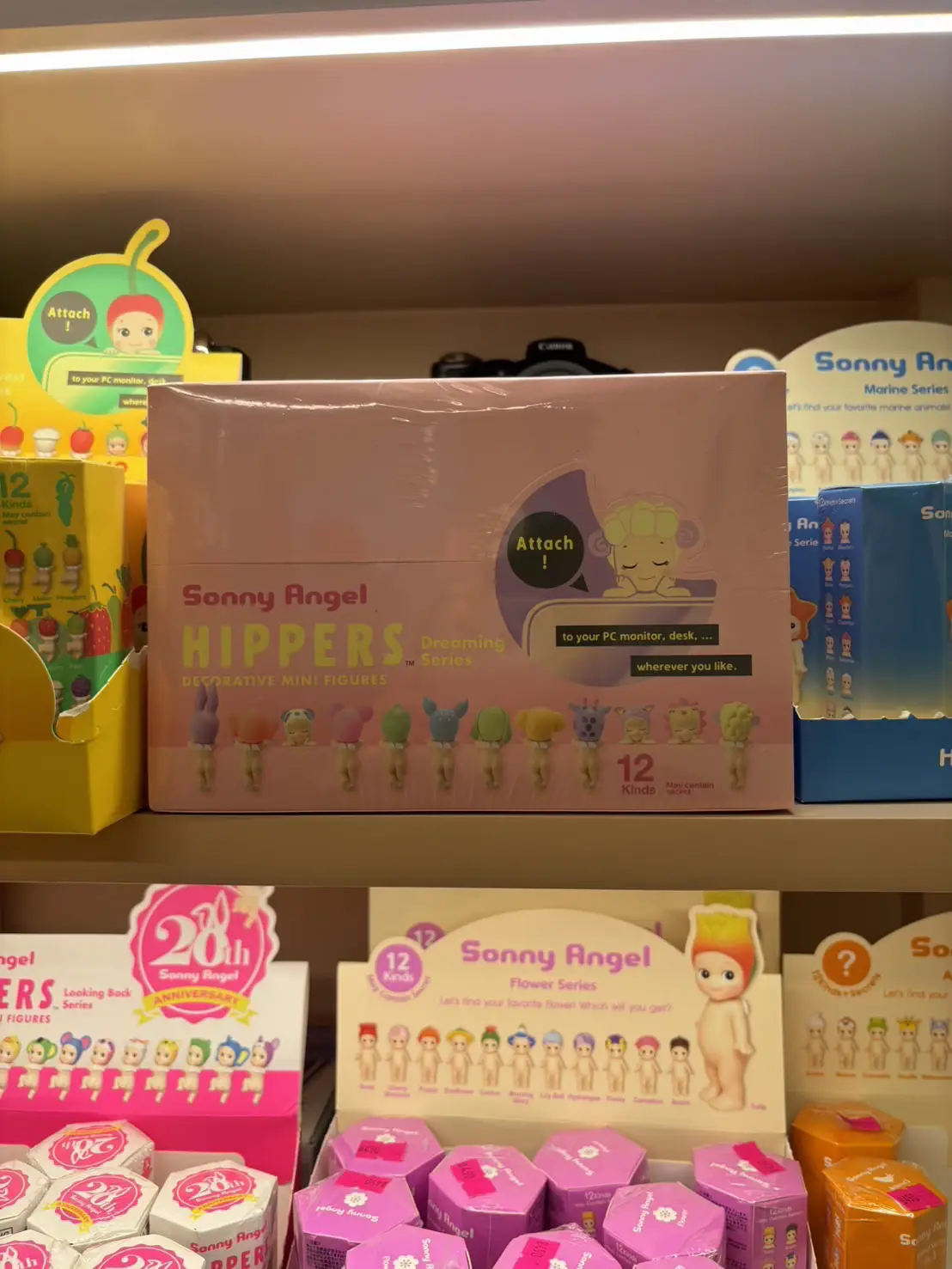 แจกพิกัด sonny angle | แกลเลอรีที่โพสต์โดย ming | Lemon8