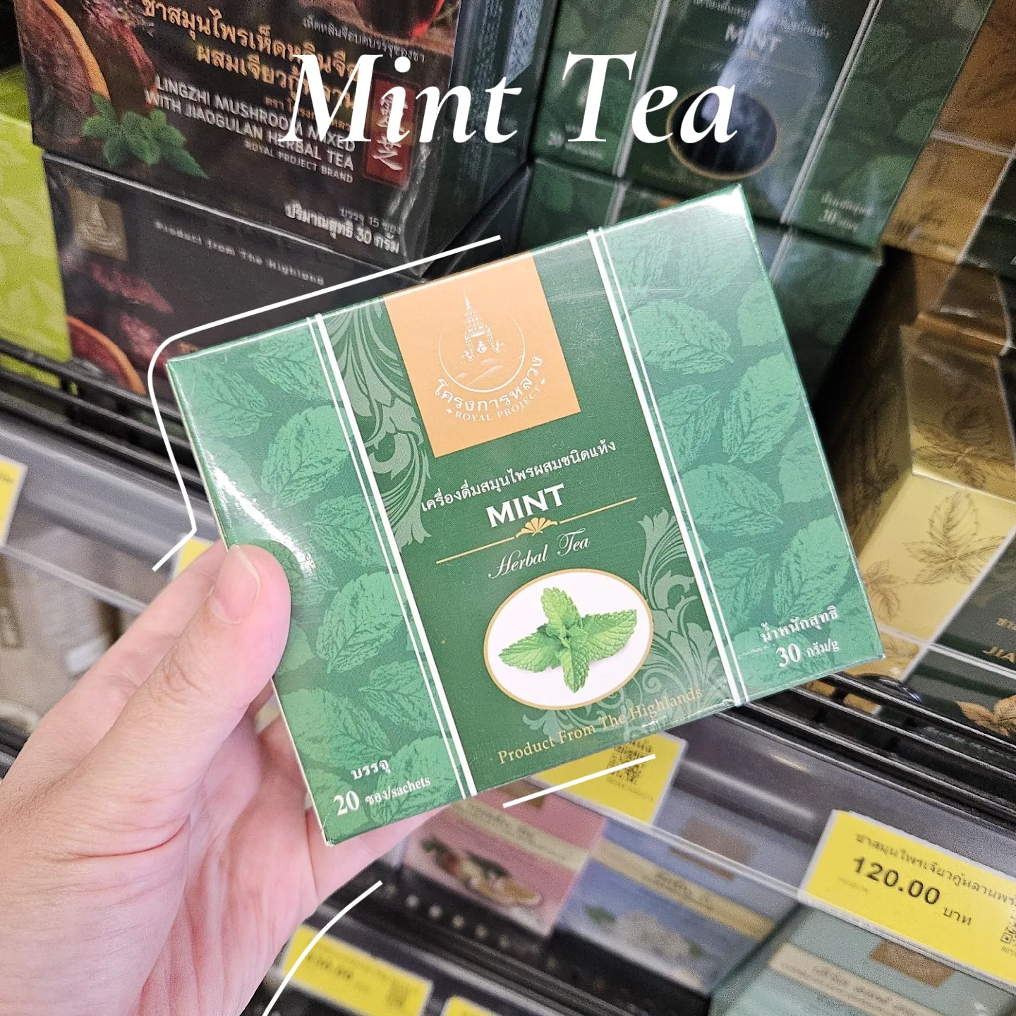 Mint Tea ที่น็อค เอวรี่ติง | แกลเลอรีที่โพสต์โดย snail diary | Lemon8