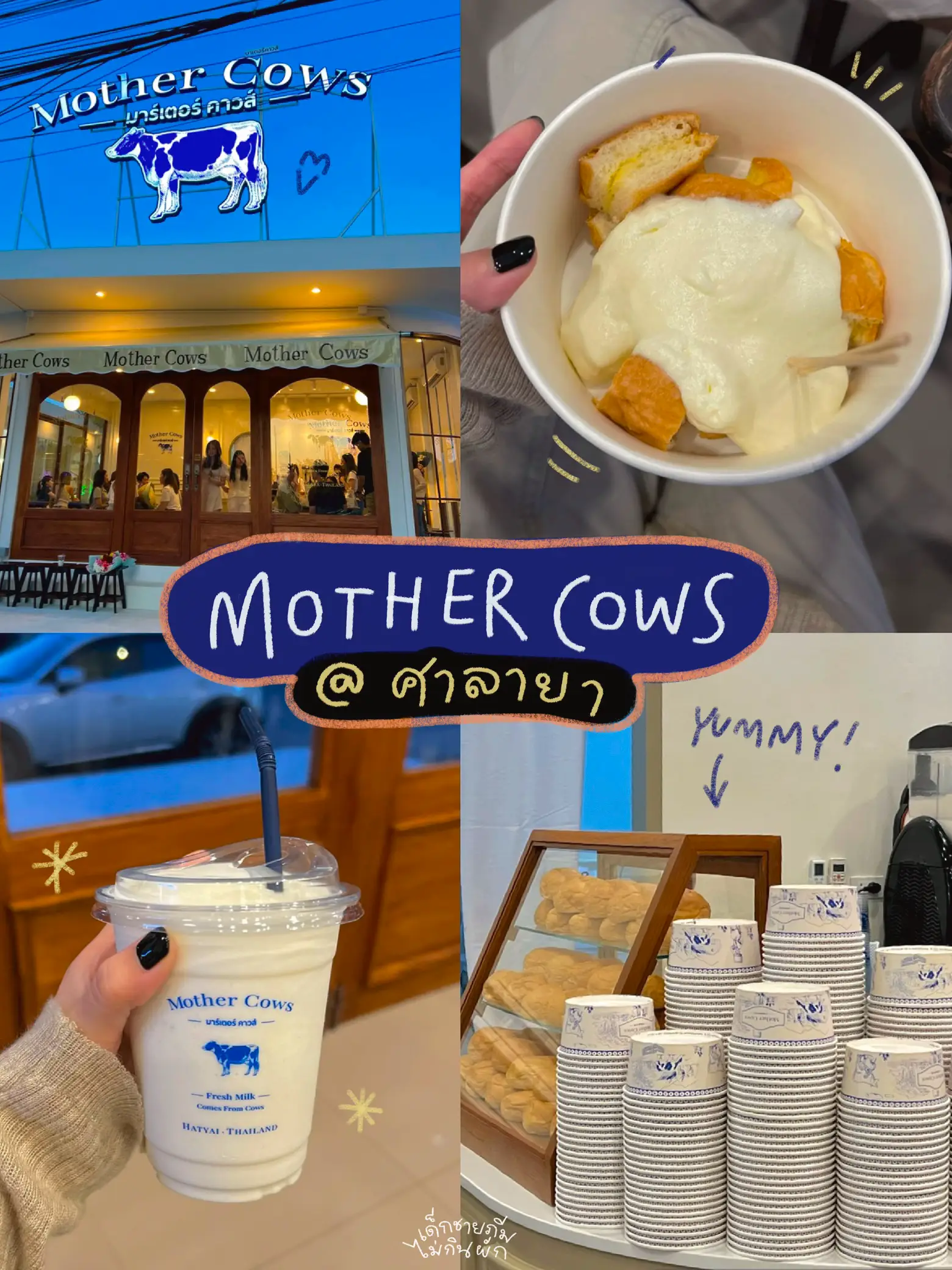 เปิดใหม่เอี่ยม ยังไม่ 2 อาทิตย์ดีกับ Mother Cows *ศาลายา*🐄🍞 | แกลเลอรี ...