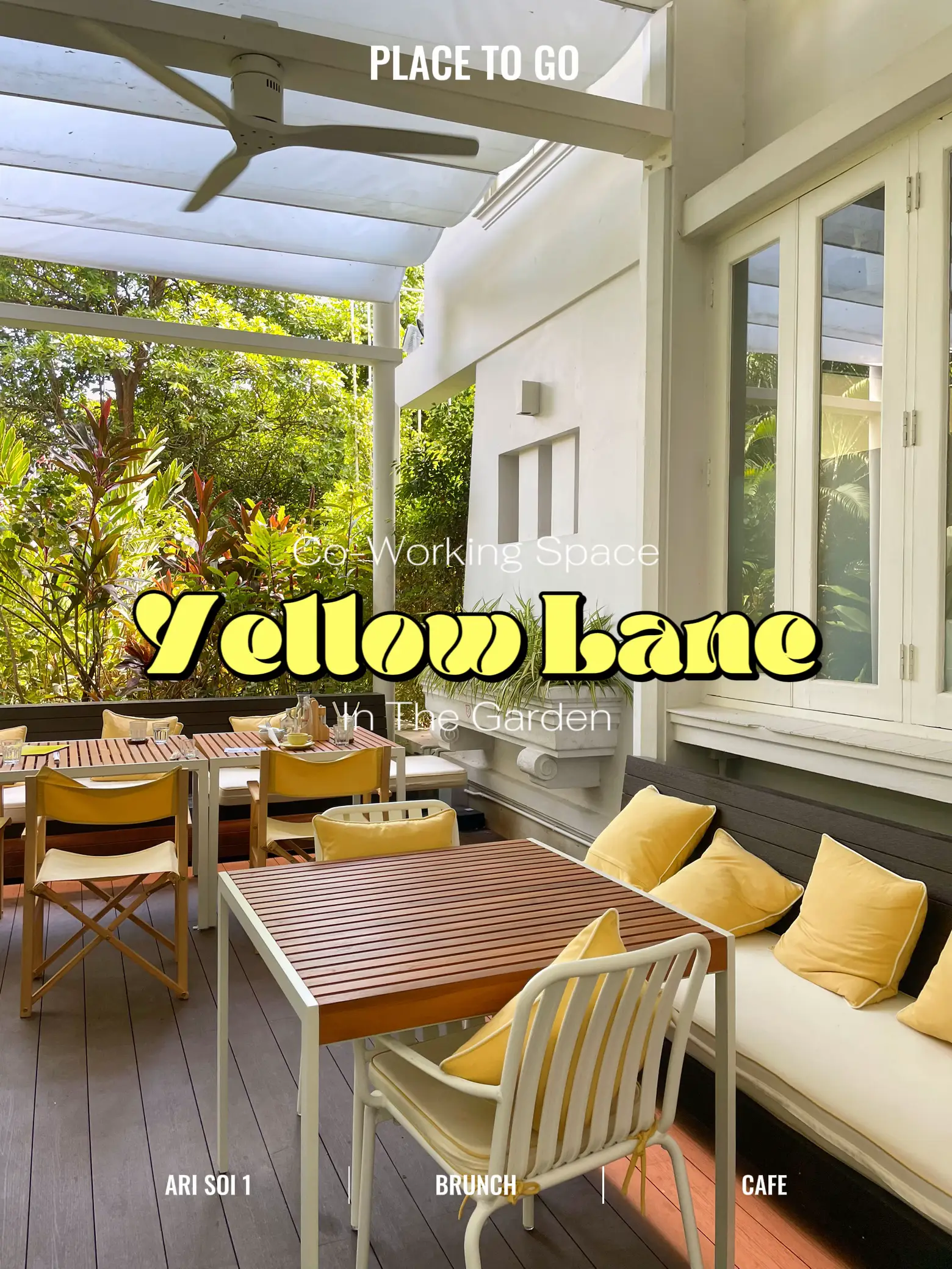 Yellow Lane | Ari | แกลเลอรีที่โพสต์โดย Ferttii Piqué | Lemon8