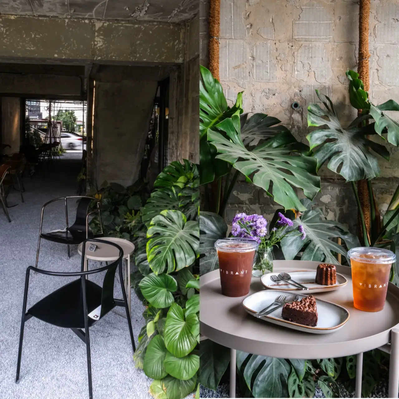 vibrant cafe | แกลเลอรีที่โพสต์โดย ติดเที่ยว | Lemon8