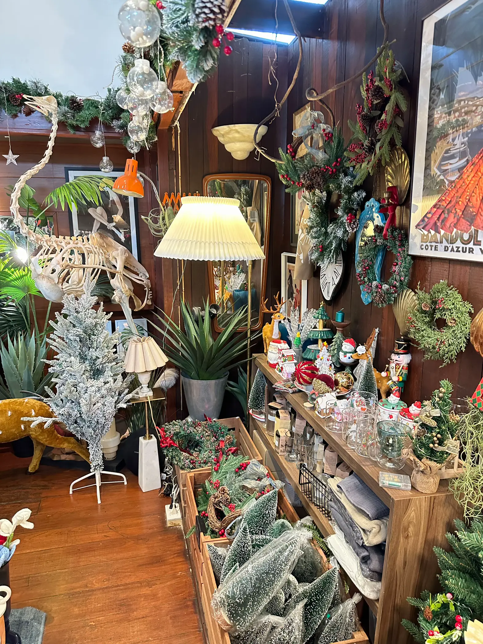Blue Wild Space แหล่งรวมไอเทม Decor Christmas 🎄 แกลเลอรีที่โพสต์โดย