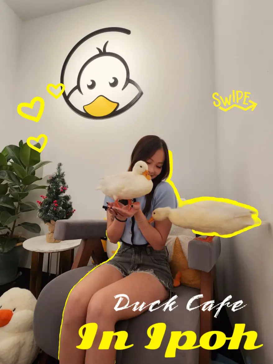 Duck Cafe with real ducks! 😍😍 | Gallery posted by Veeeviannnn 🌸 | Lemon8