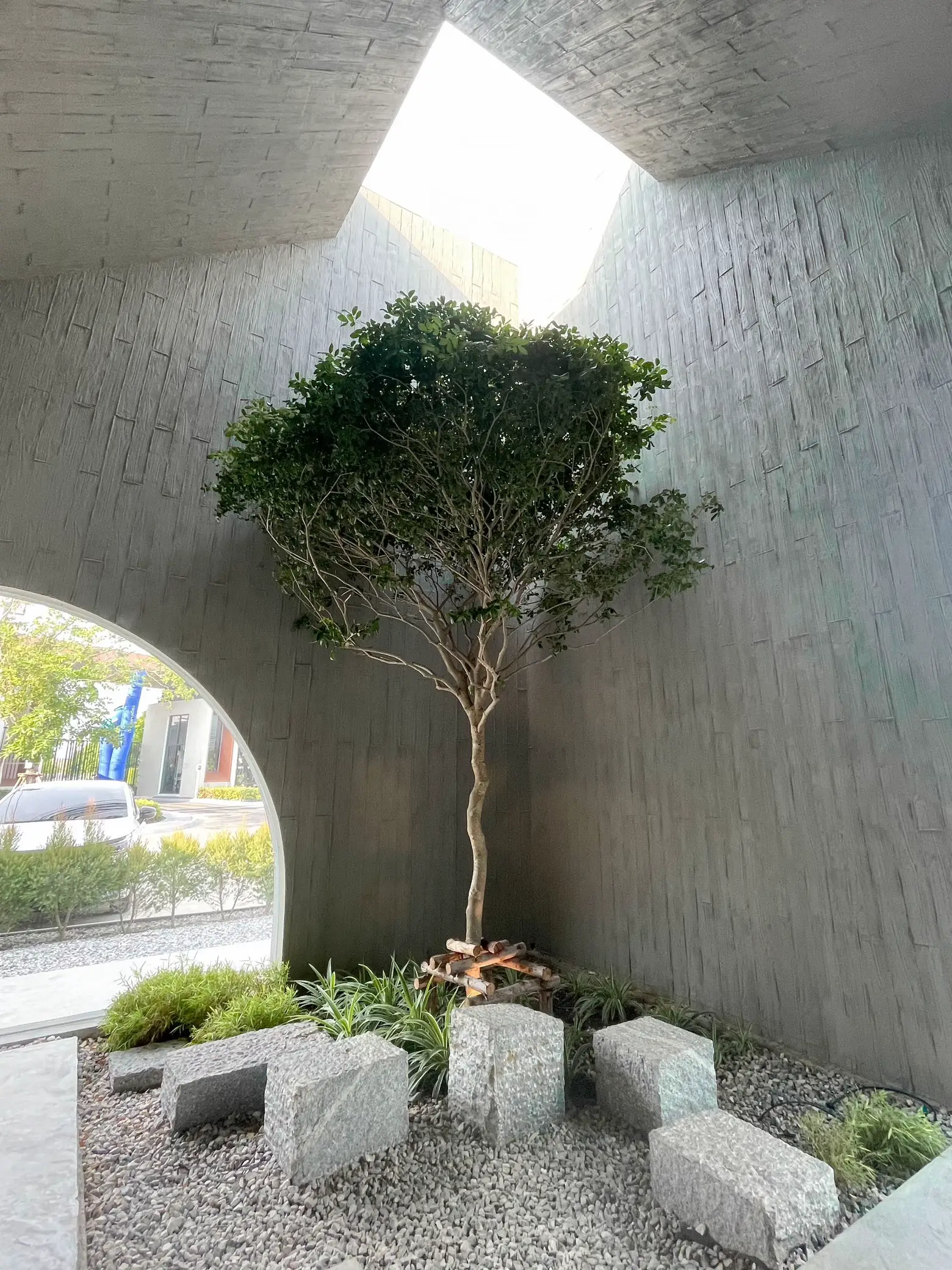 IN MY ELEMENT Cafe Pet Friendly100% หมาเข้าโซนแอร์ได้ | แกลเลอรีที่ ...