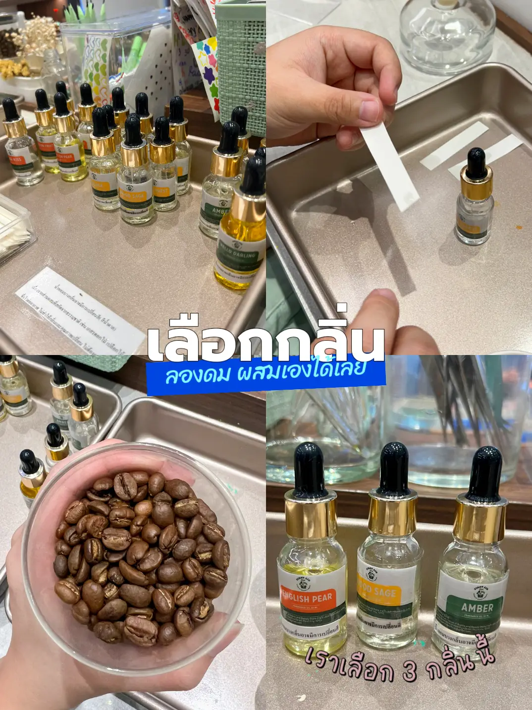 ไป Workshop Diffuser ก้านหอมที่สยาม ขวดเดียวในโลกกันนน | แกลเลอรีที่โพสต์โดย ffairwayy | Lemon8