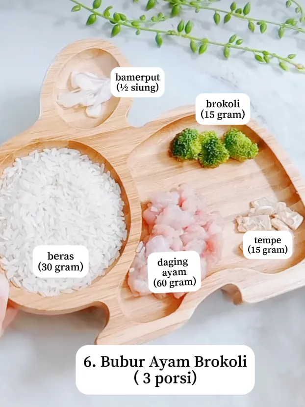 Ide Menu MPASI 6 Bulan Pertama | Galeri diposting oleh Dina Yurisa | Lemon8