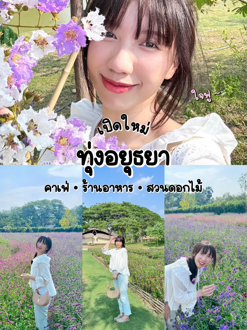 คาเฟ่ใหม่ | ทุ่งอยุธยา วิวดีสวนสวย ถ่ายรูปคุ้ม! | แกลเลอรีที่โพสต์โดย Ann Waran | Lemon8