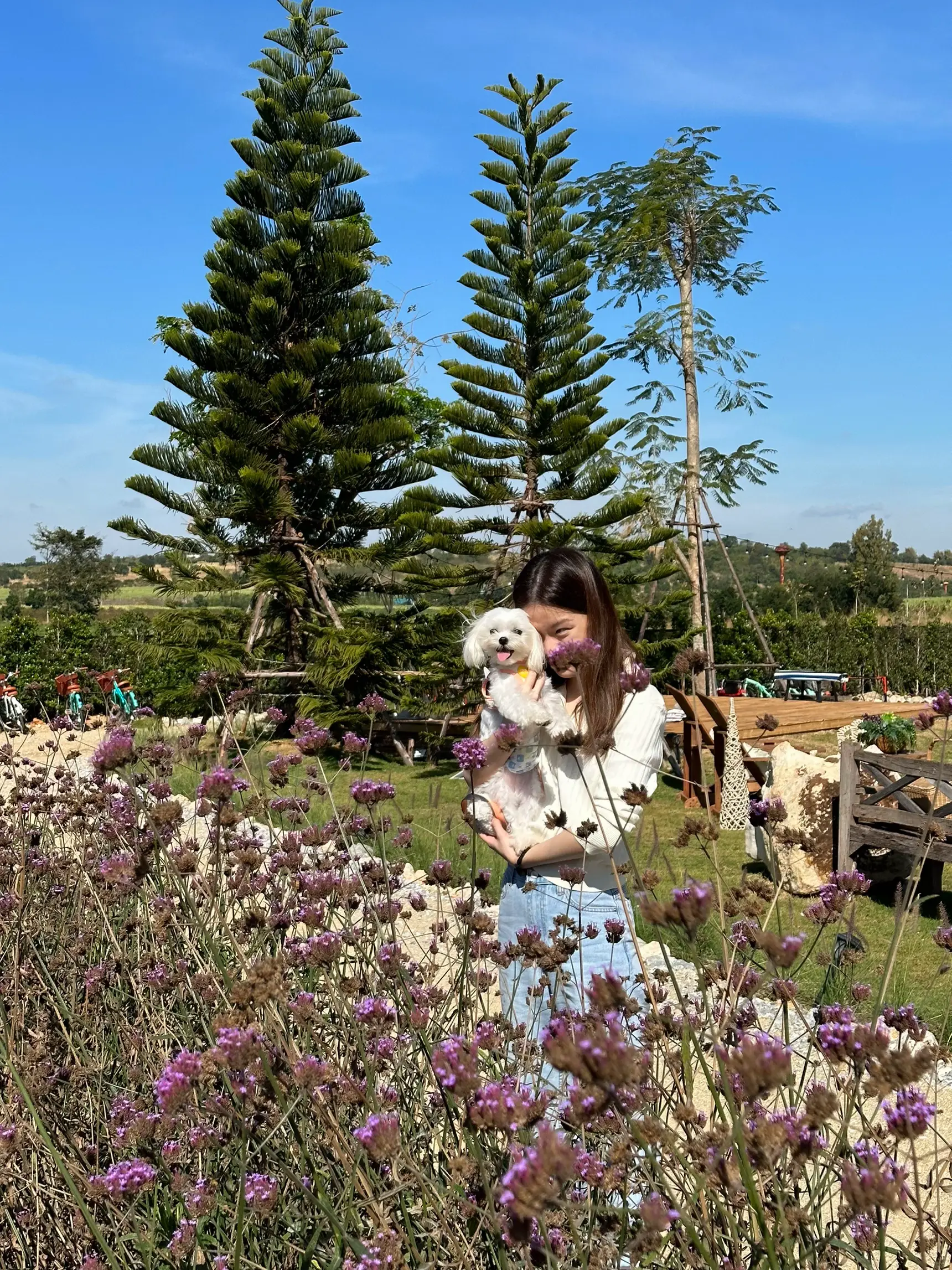 คาเฟ่น่ารักวิวสวยมาก @khao yai 🐶🌱 | แกลเลอรีที่โพสต์โดย polar.maltese ...