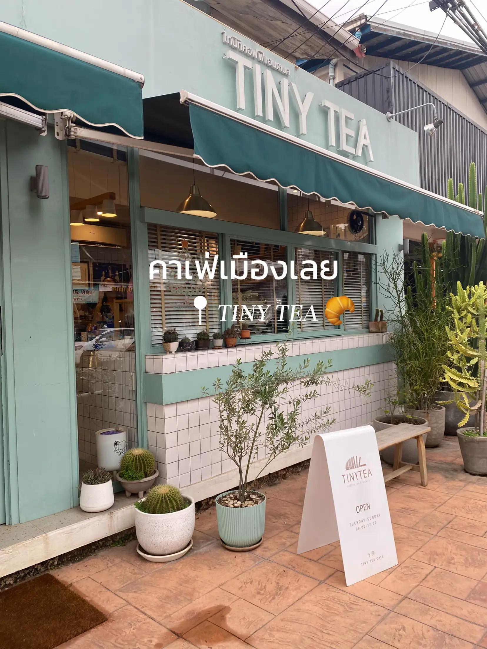 คาเฟ่เมืองเลย 📍TINY TEA | แกลเลอรีที่โพสต์โดย ชุดาจะรีวิว | Lemon8