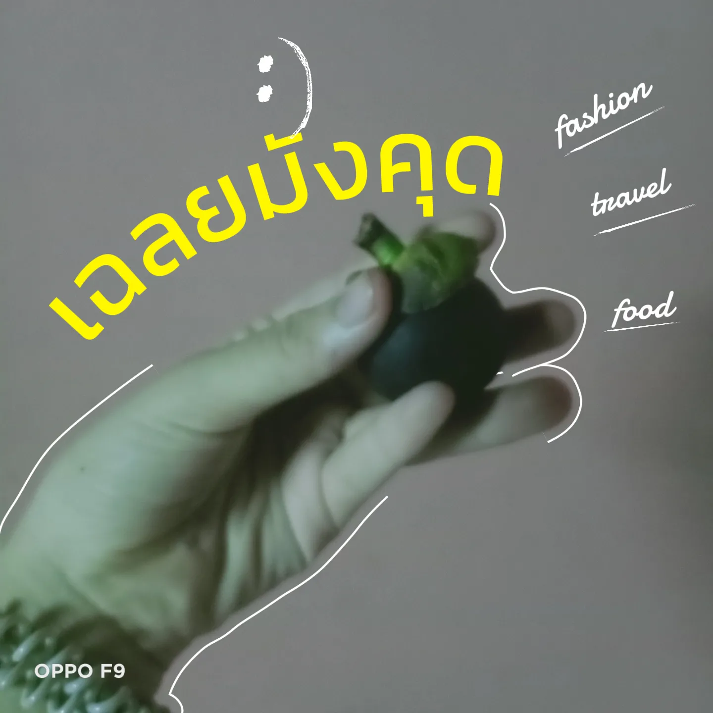 เฉลย Set Elearning P01 - การค้นหาใน Lemon8