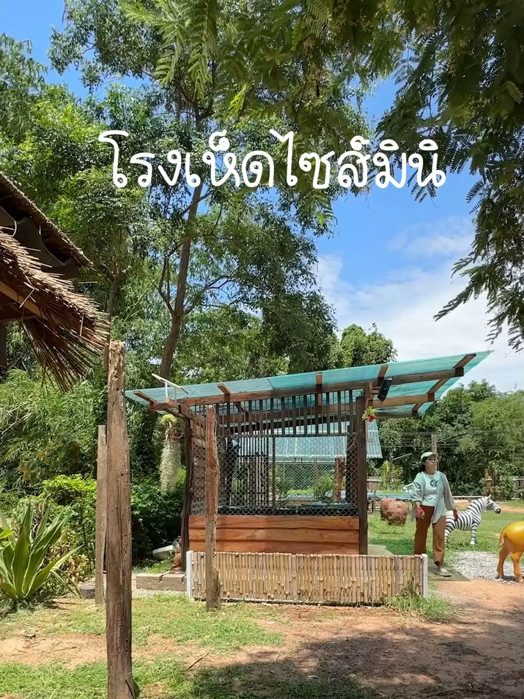 ทำโรงเห็ดเล็กๆ 🍄‍🟫 | วิดีโอที่เผยแพร่โดย Pimpa Family | Lemon8