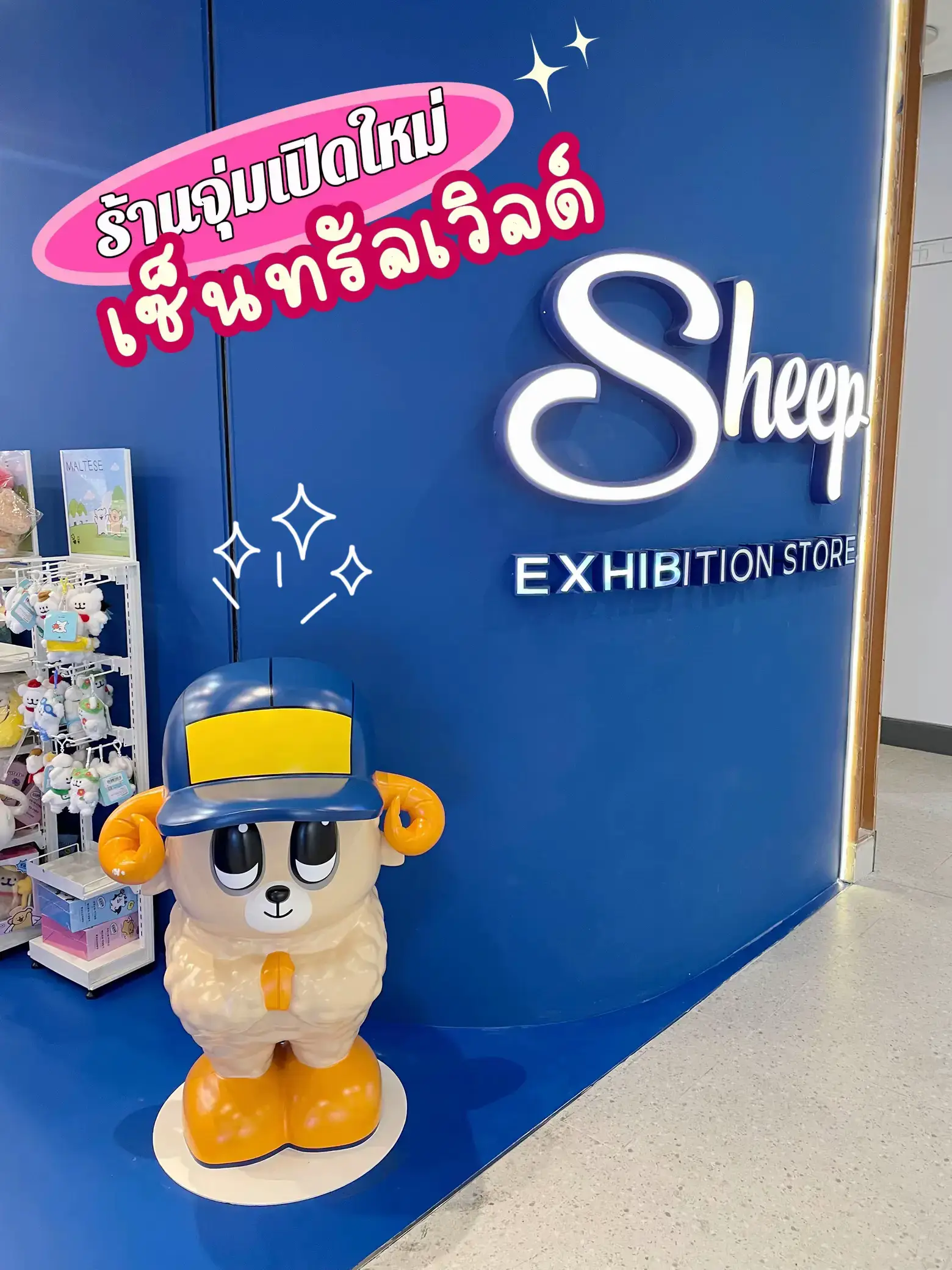 ร้านกล่องสุ่มเปิดใหม่ : Sheep exhibition store | แกลเลอรีที่โพสต์โดย ...