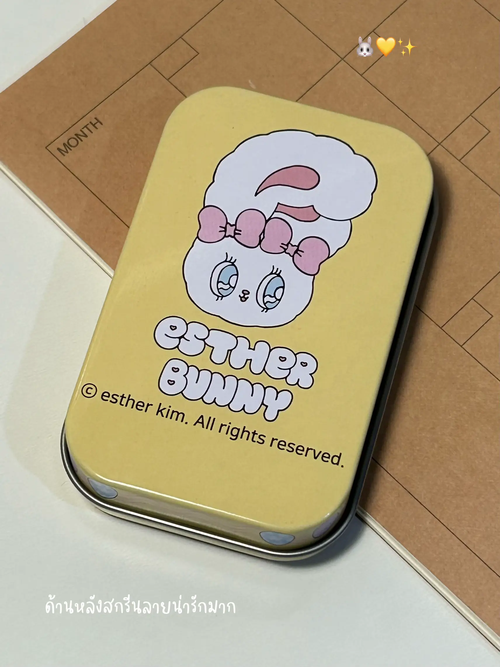 กล่องเหล็ก Esther Bunny🐰💛 | แกลเลอรีที่โพสต์โดย Somtnpss | Lemon8
