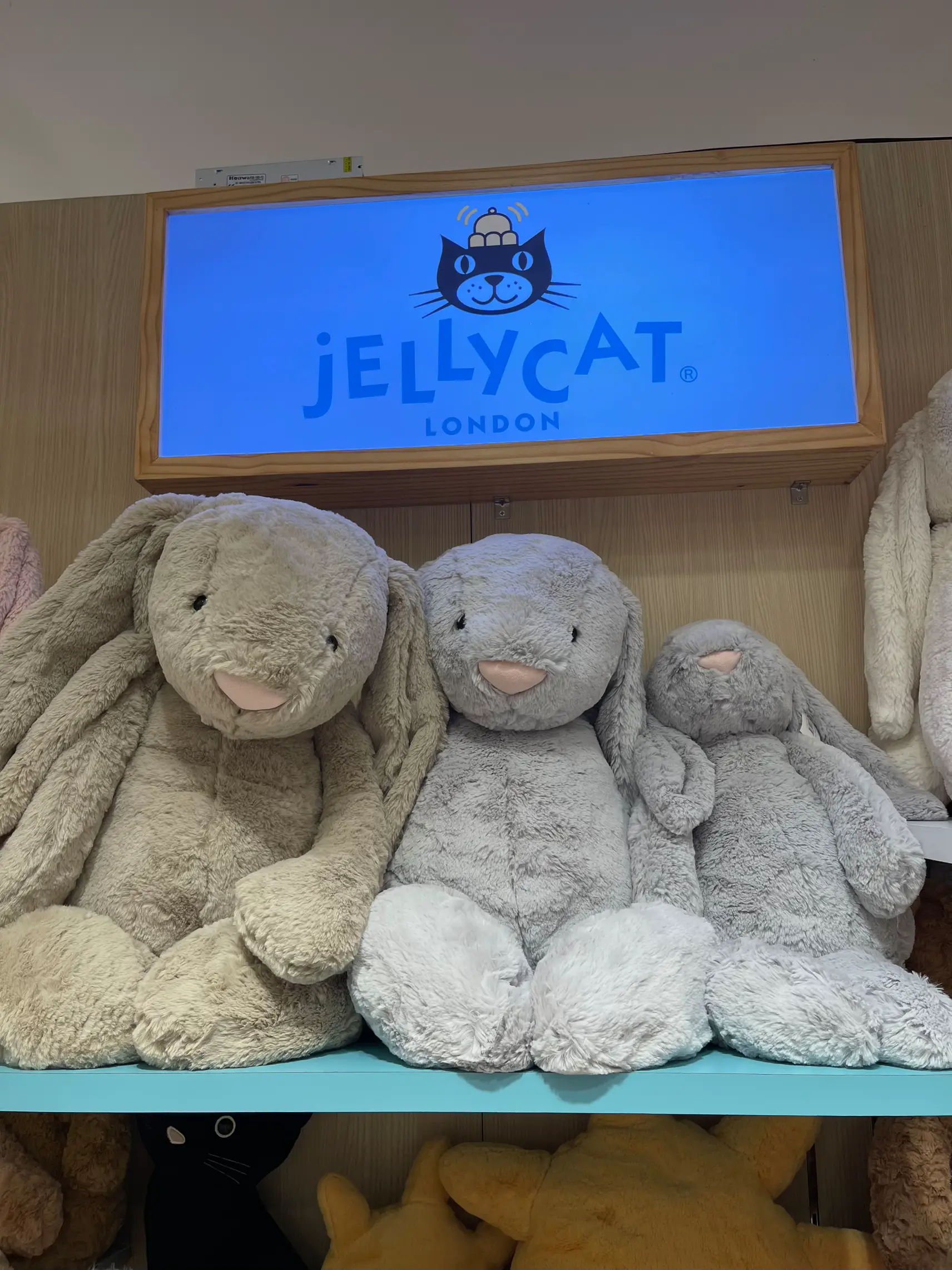 ไอเดียของขวัญ 🎁 ตุ๊กตาที่ดังมากตอนนี้ Jelly cat | แกลเลอรีที่โพสต์โดย Nattieiz | Lemon8