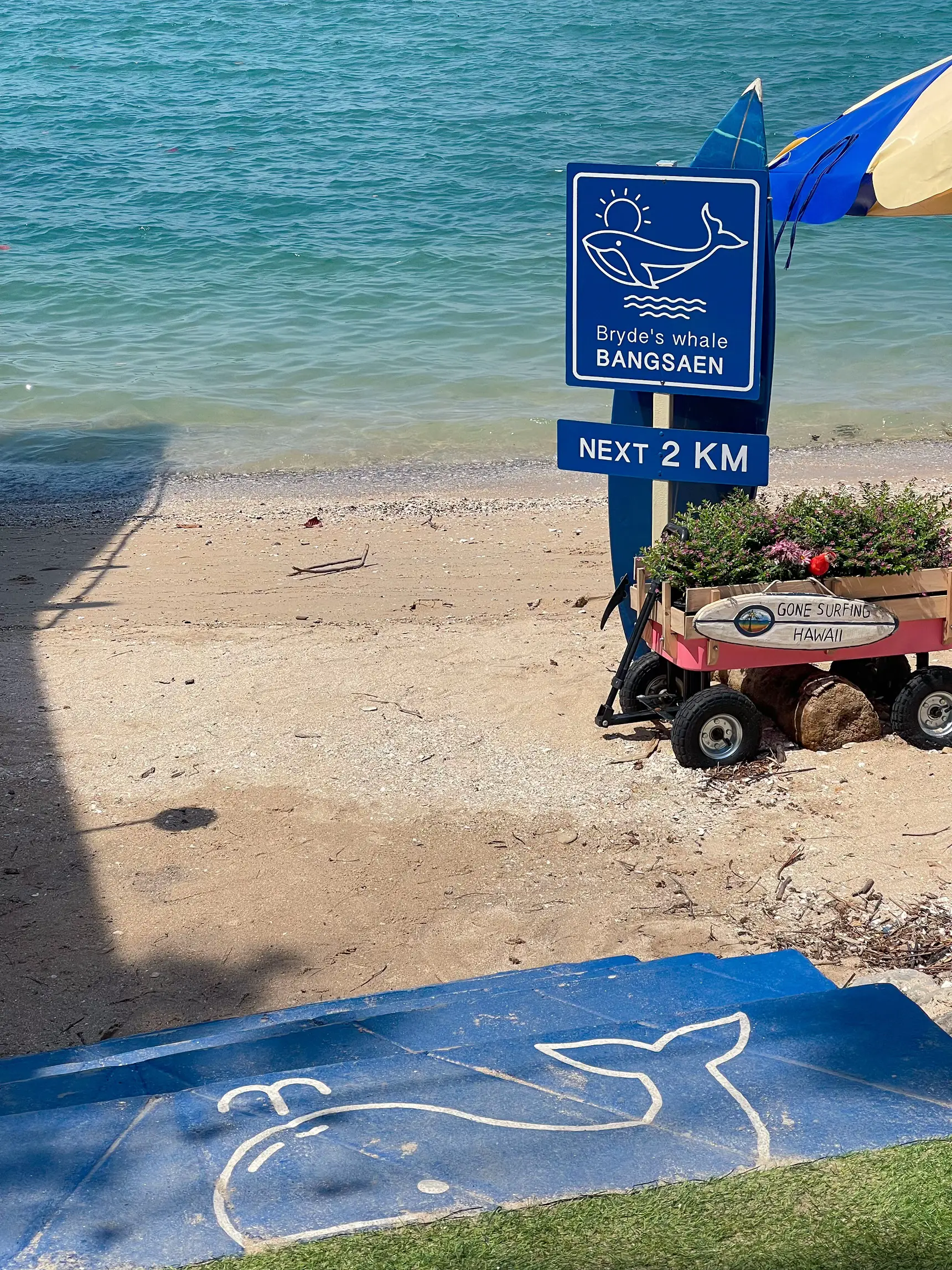 Tiny Island Cafe (BANGSAEN) 🏝️🌺 | แกลเลอรีที่โพสต์โดย P&P reviews | Lemon8