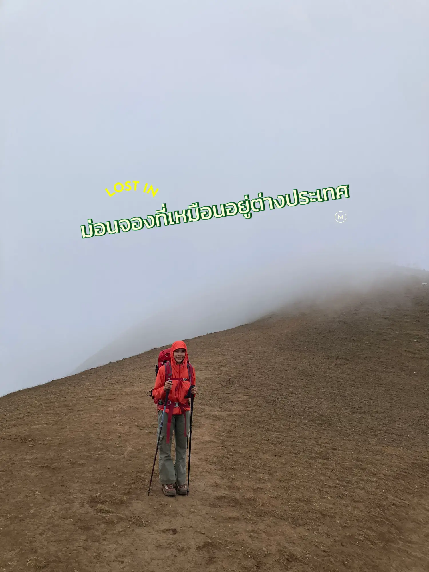 ม่อนจอง with me | แกลเลอรีที่โพสต์โดย Ratchadaporn | Lemon8