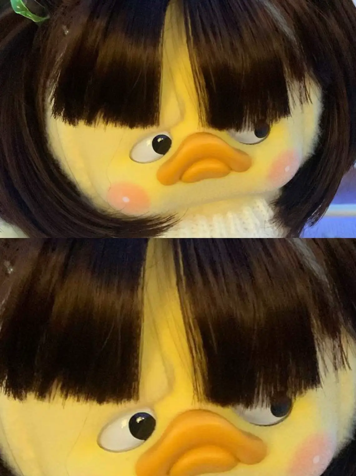 Upset Duck ของประเทศอะไร - การค้นหาใน Lemon8