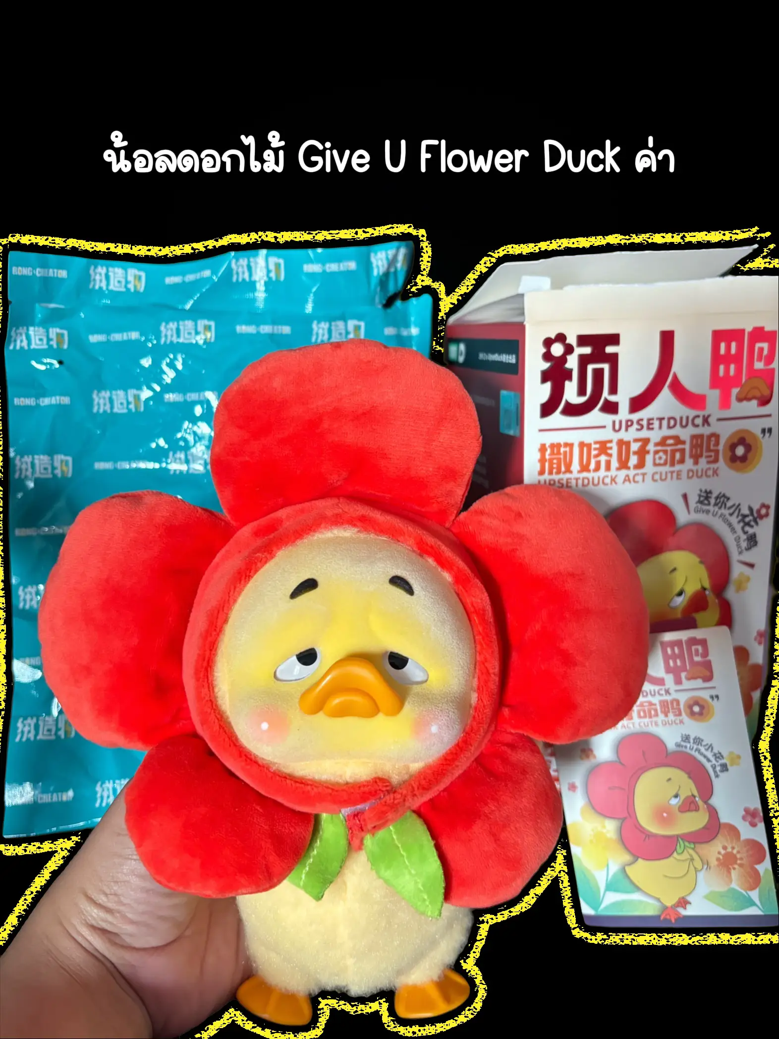Upset Duck - การค้นหาใน Lemon8
