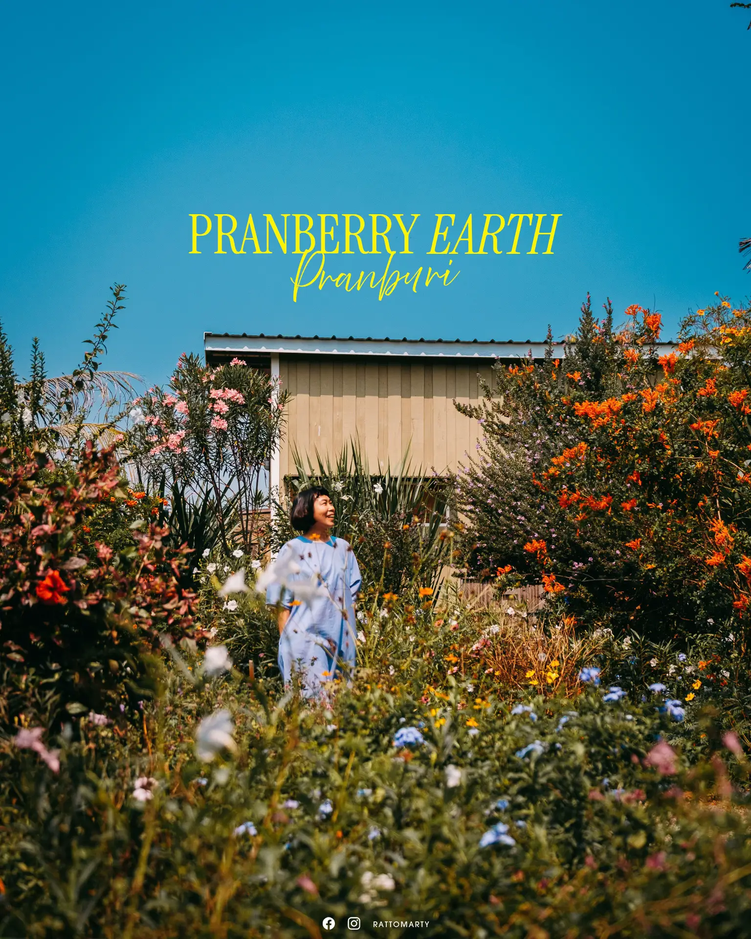 Pranberry Earth ☀️ คาเฟ่สุดละมุน กลางสวนดอกไม้และขุนเขา | แกลเลอรีที่ ...