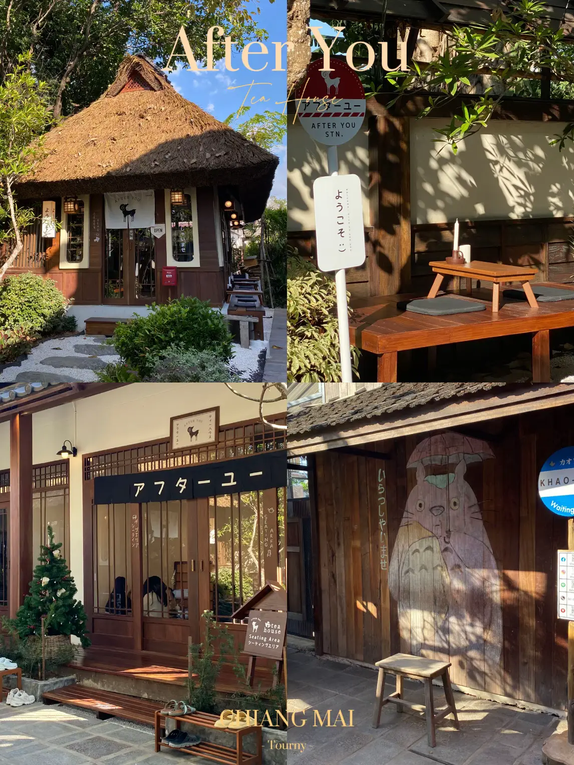 🍦พาชม After You Tea House เชียงใหม่ สไตล์ญี่ปุ่น🇯🇵 | แกลเลอรีที่โพสต์ ...