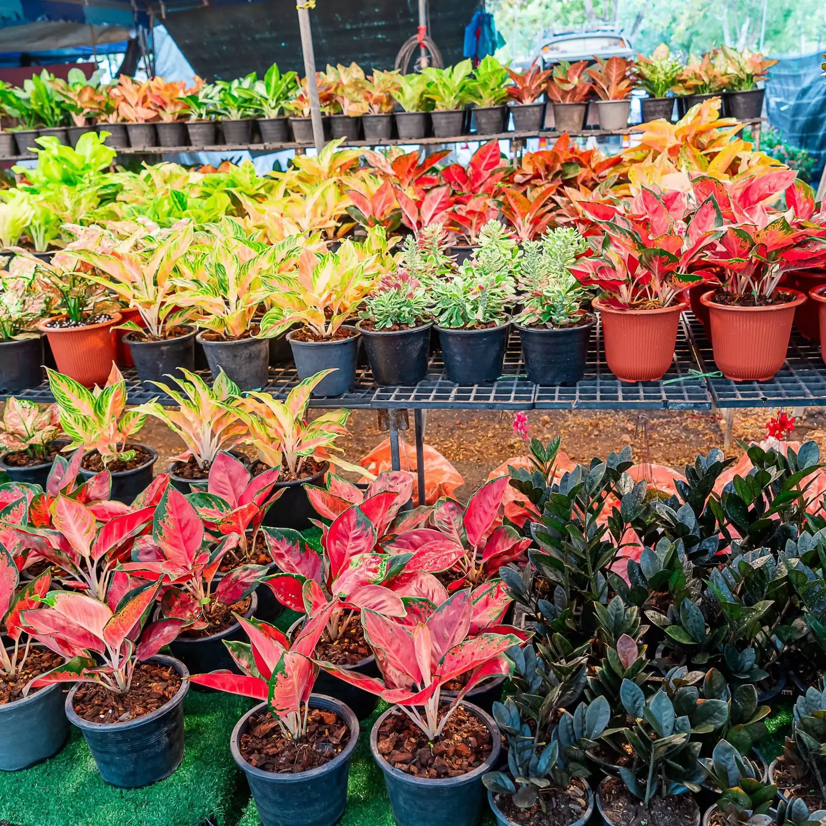 Who's going to raise your hand? | Gallery posted by Meaw.wang | Lemon8