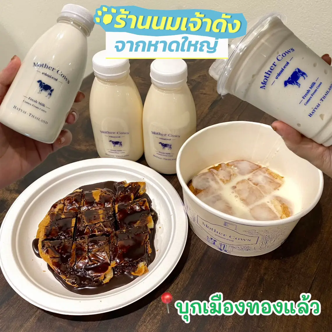 Mother Cows ร้านนมชื่อดังหาดใหญ่ บุกเมืองทองธานีแล้ว!! | แกลเลอรีที่ ...