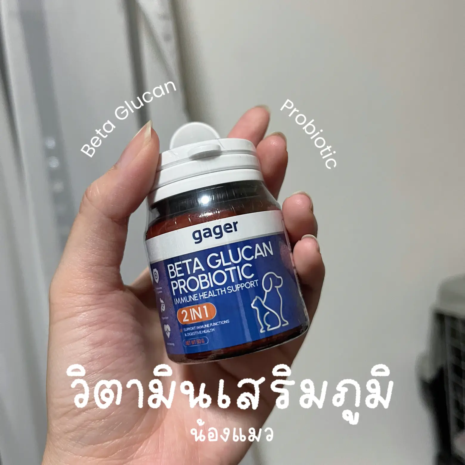 วิตามินเสริมภูมิน้องแมว | แกลเลอรีที่โพสต์โดย beam.tncp | Lemon8