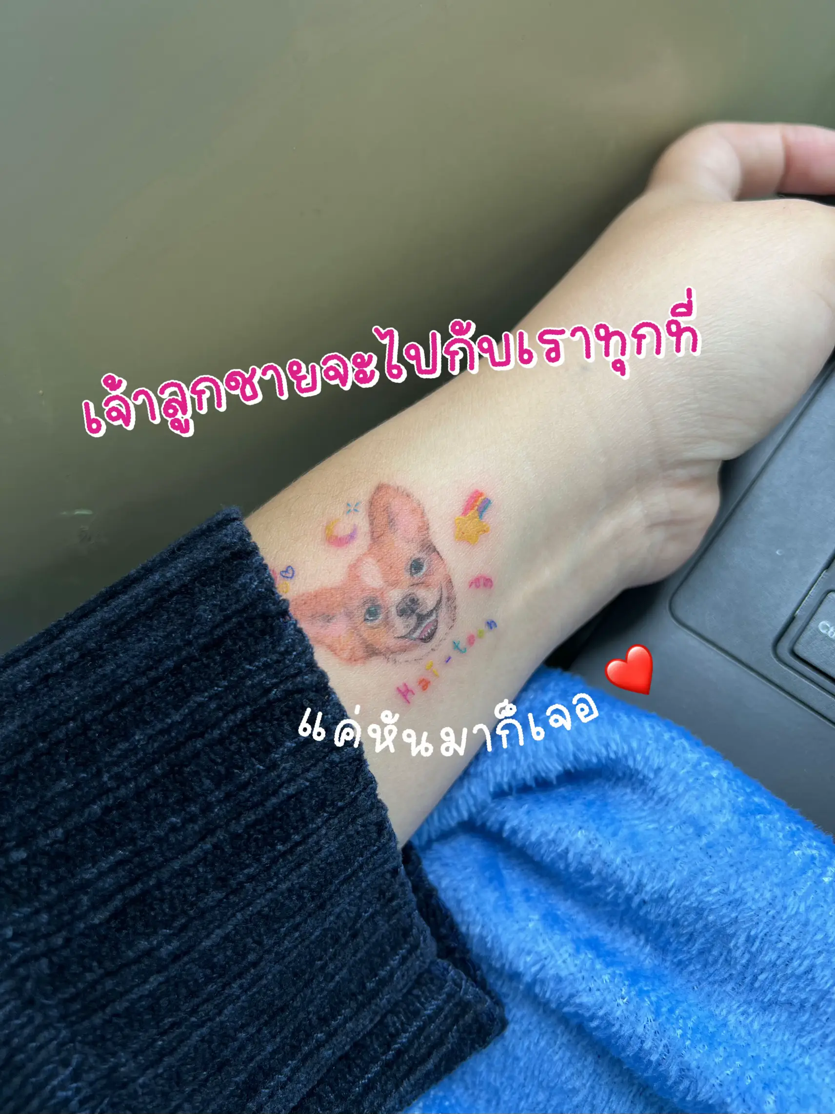 วันที่เจ้าลูกหมาจากไป …. | แกลเลอรีที่โพสต์โดย All.julaP 🧸 | Lemon8