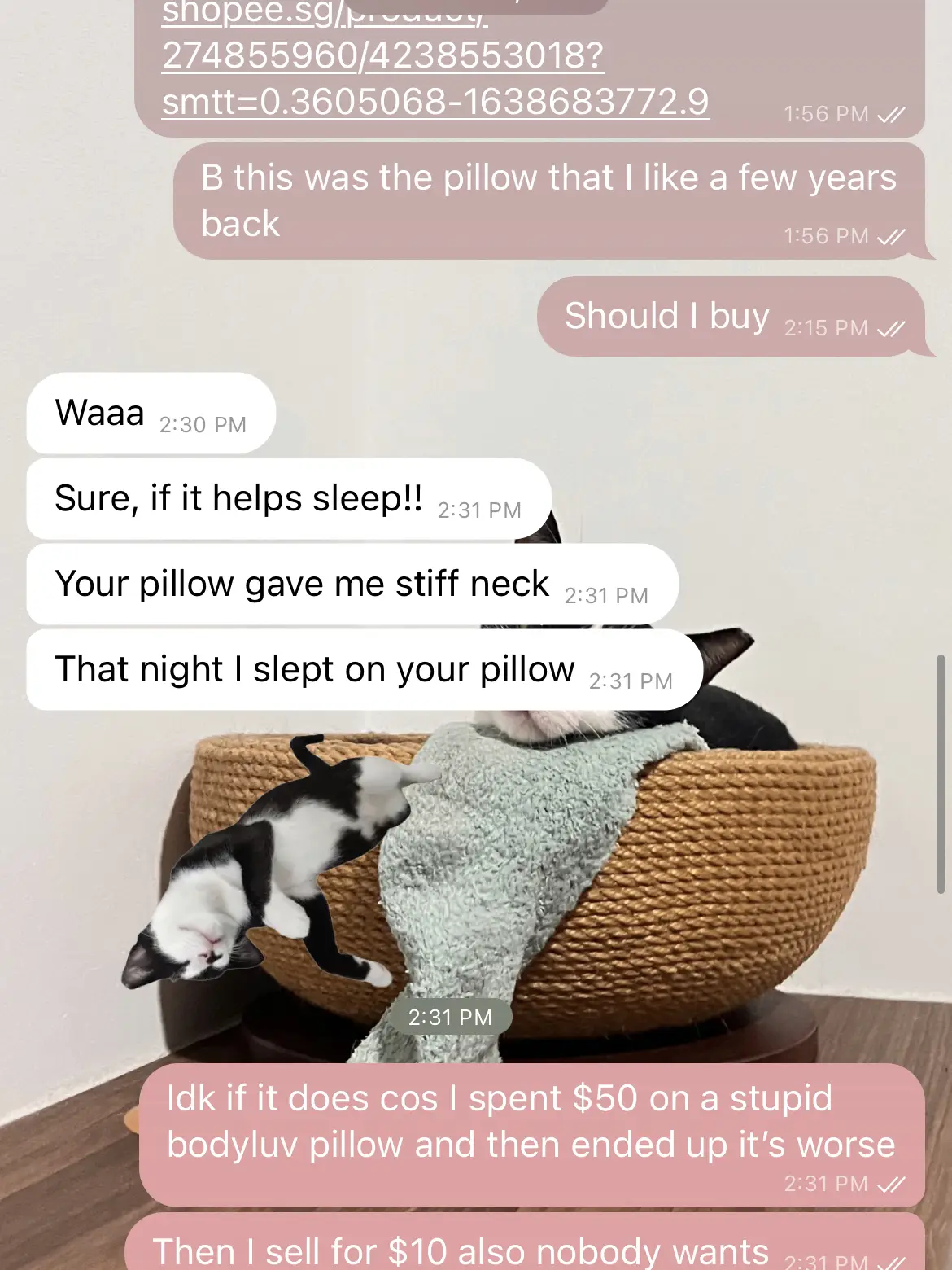 👋 bye to neck ache w this pillow 😴 | Gallery posted by Meowrissa | Lemon8