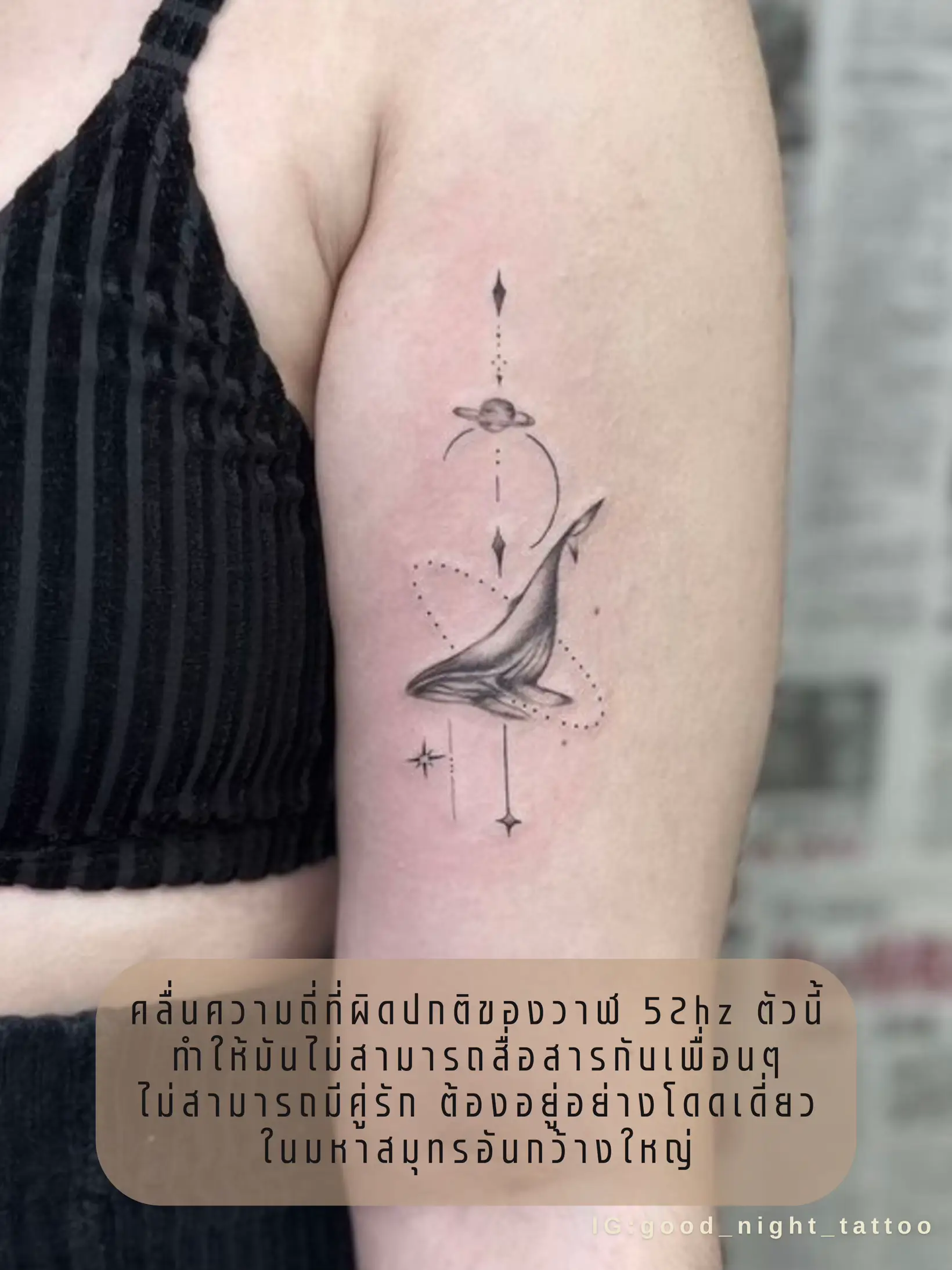 ความเป็นมาของวาฬ 52 Hz… | แกลเลอรีที่โพสต์โดย สักกับไนท์ | Lemon8