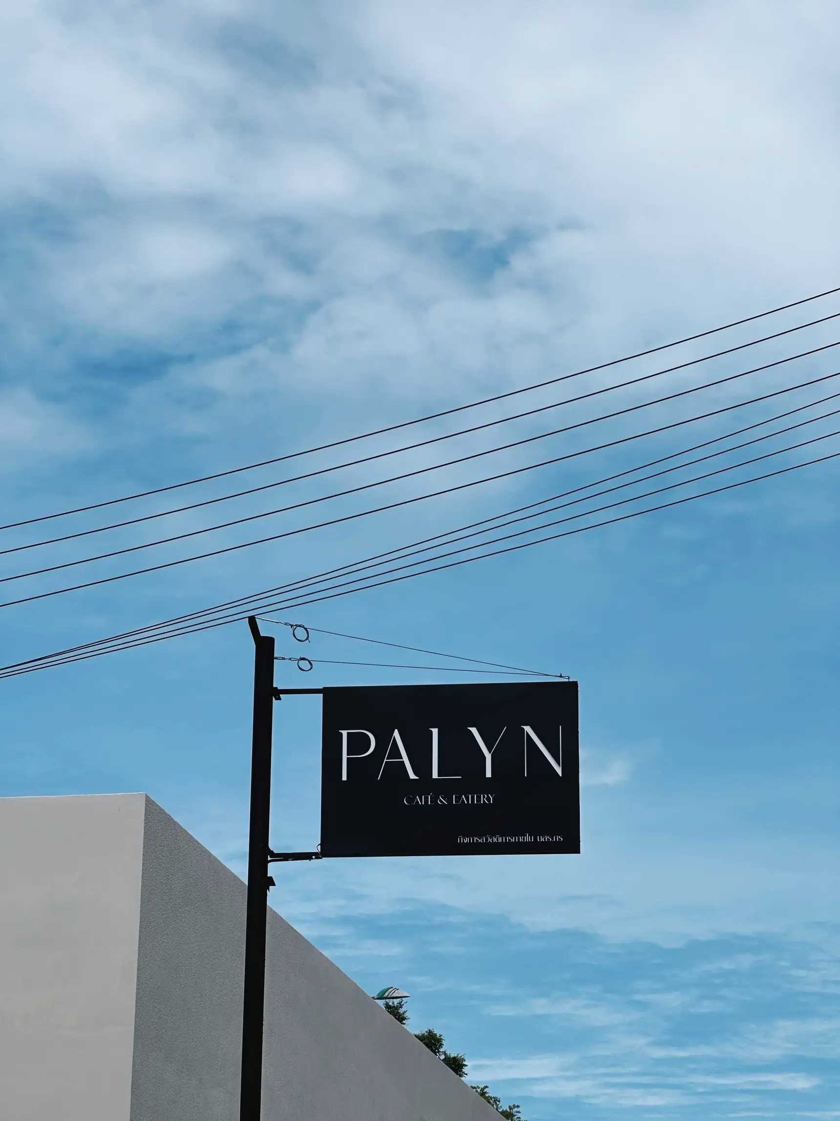 📍PALYN คาเฟ่เปิดใหม่แสมสาร ที่ถ่ายรูปมุมไหนก็โคตรจะปังงงง📸💖 | แกลเลอรี ...