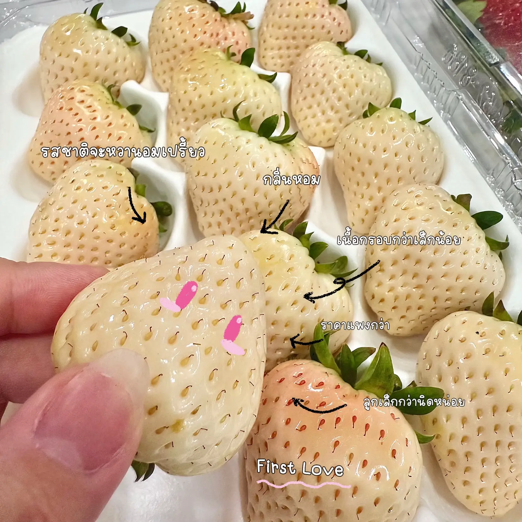 ความต่างของสตรอว์เบอร์รี่ 2สี 😍 | แกลเลอรีที่โพสต์โดย yu.skyu | Lemon8