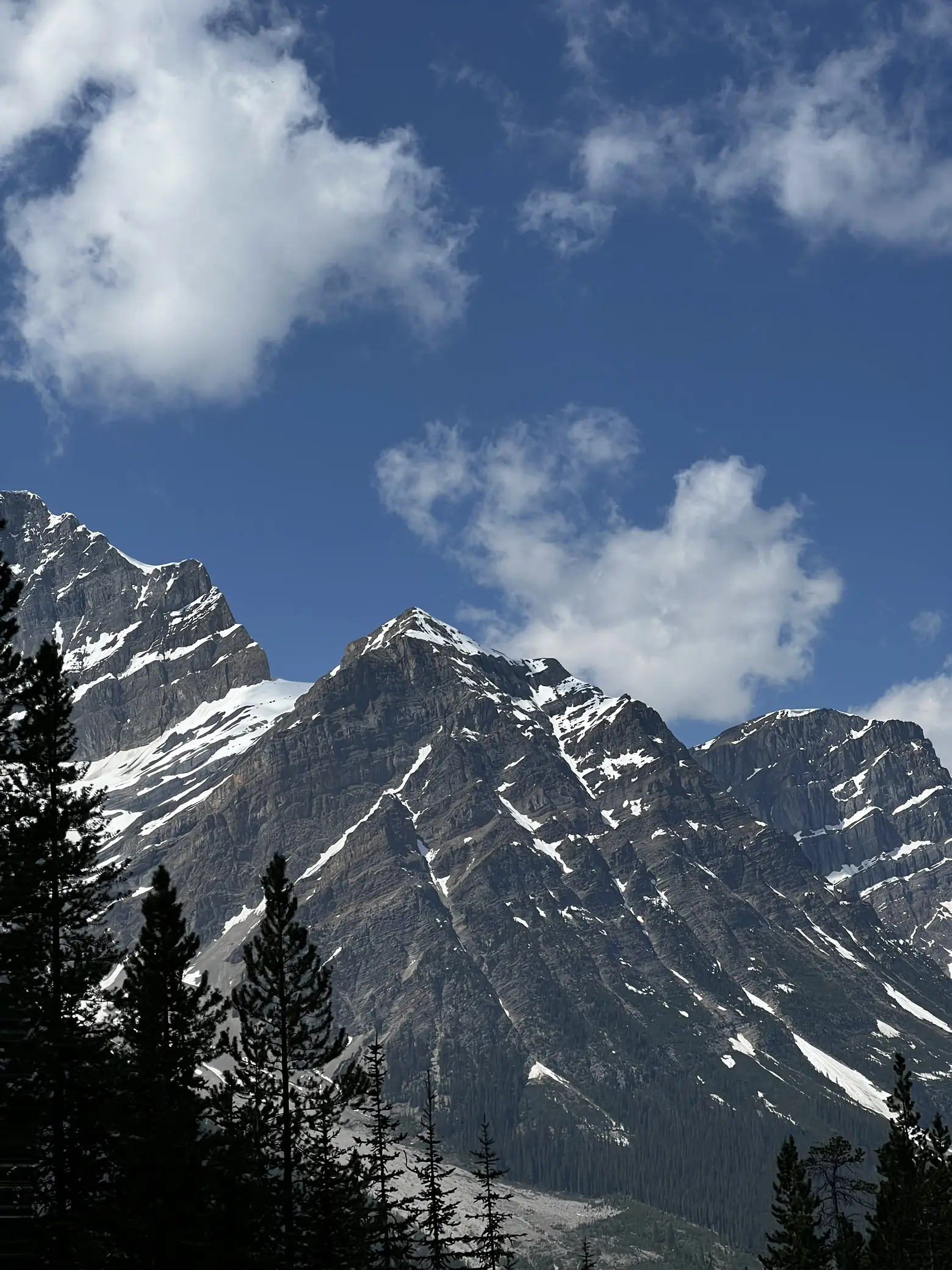 Scenic View - Lemon8 Search